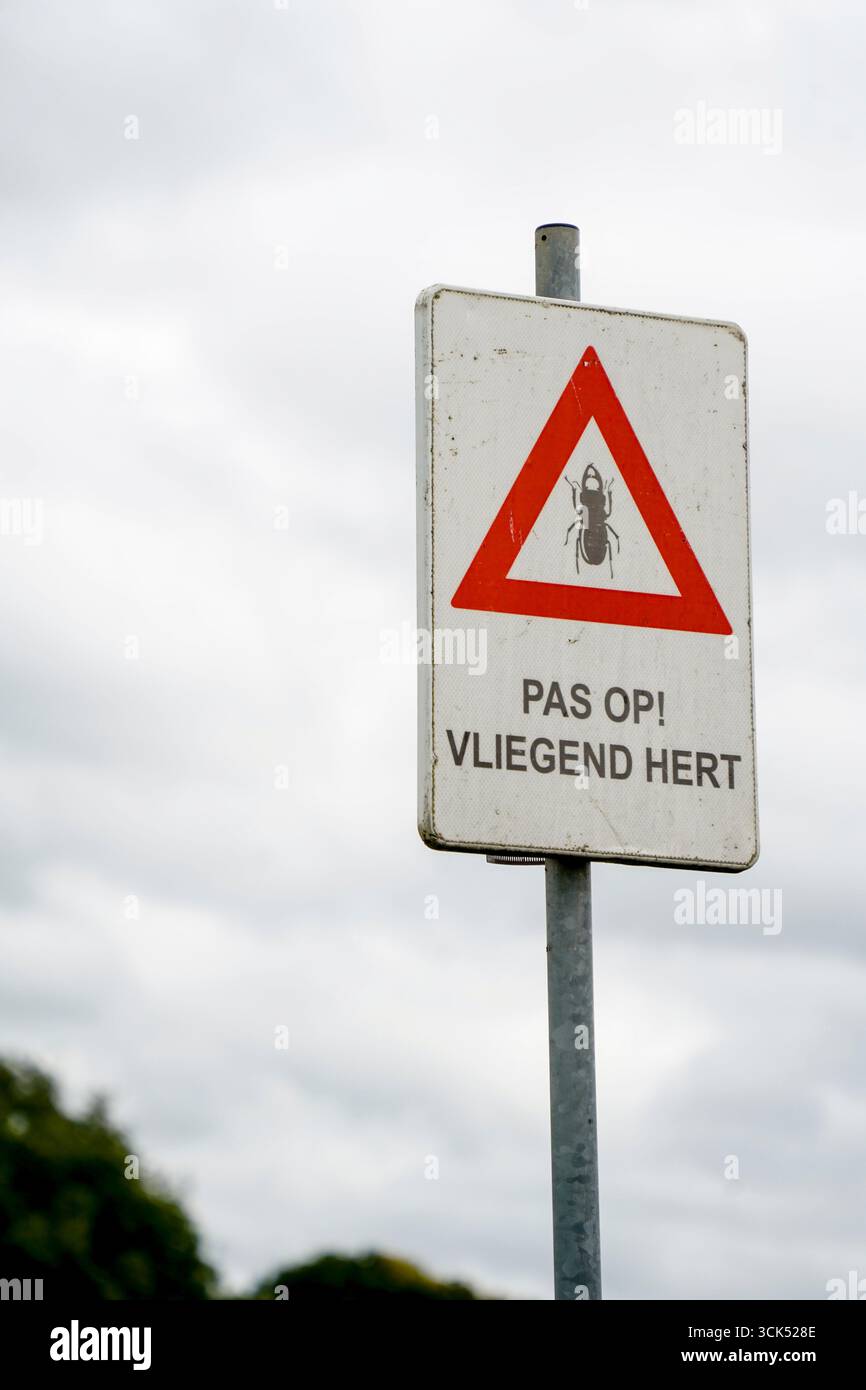 Sign in dutch, saying watch out for Stag beetles, for protection ...