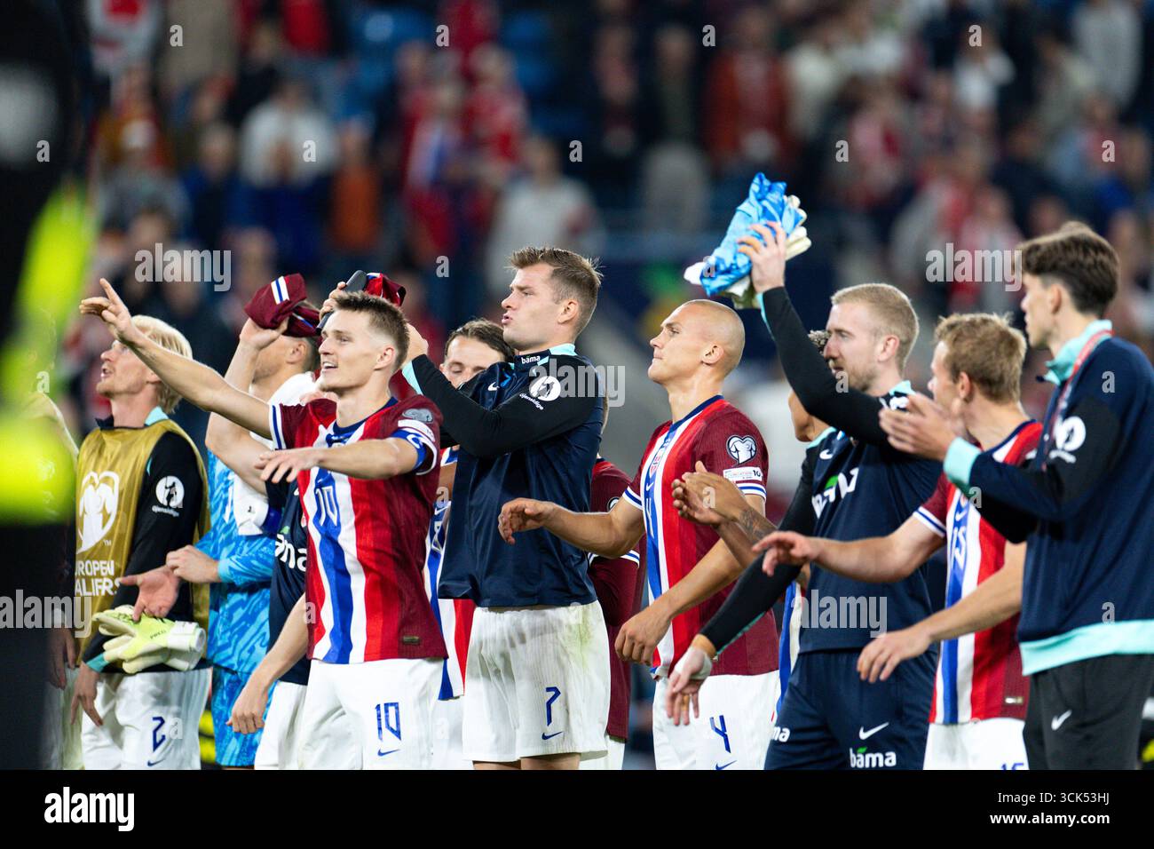 Players of Norway celebrate after winning the UEFA European Qualifiers ...