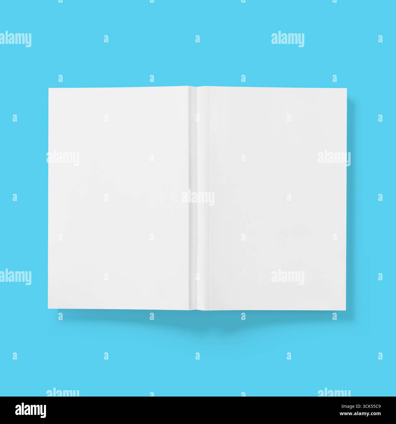 A blank open book displaying empty pages, inviting creativity and ...