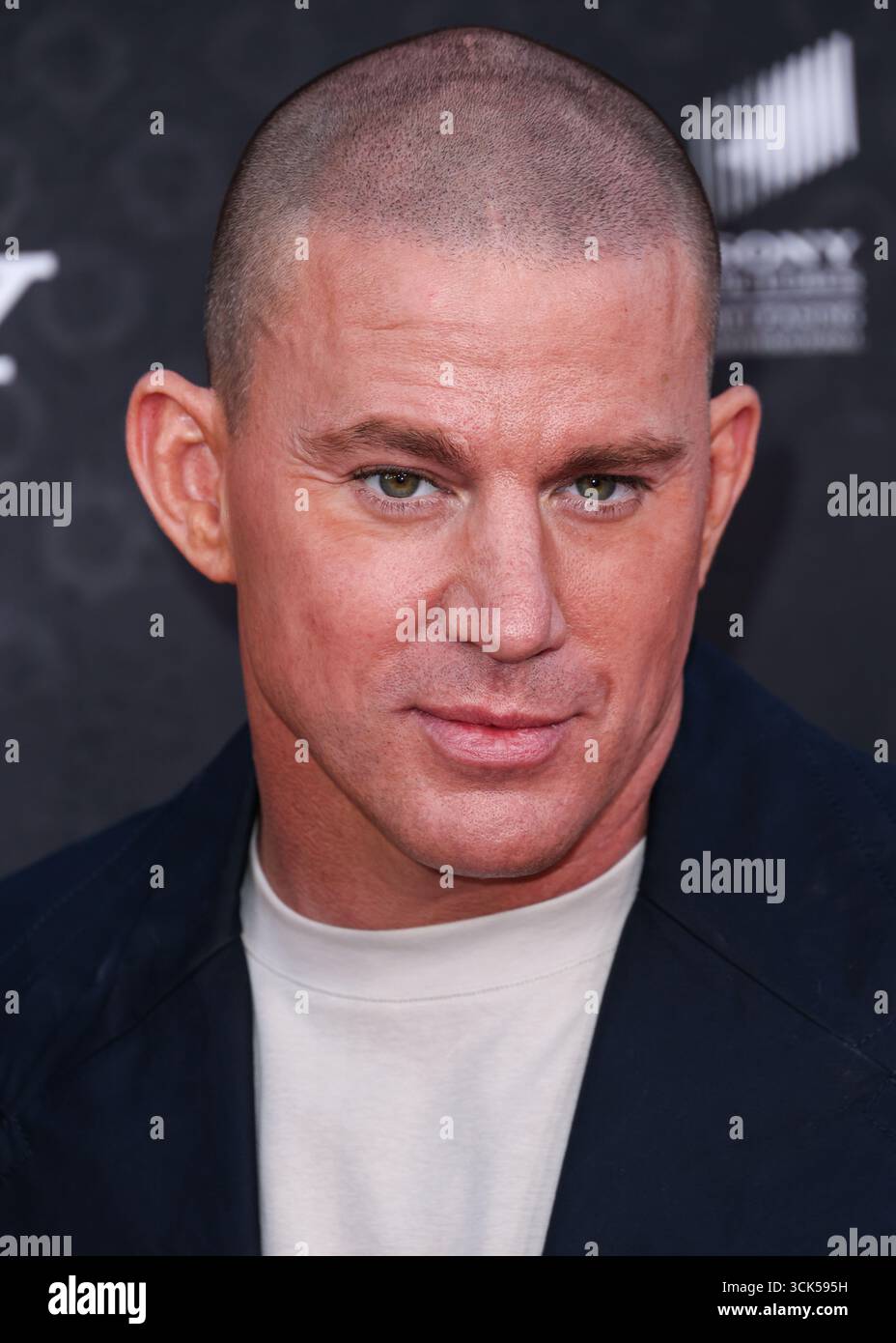 HOLLYWOOD, LOS ANGELES, CALIFORNIA, USA - SEPTEMBER 09: American actor ...