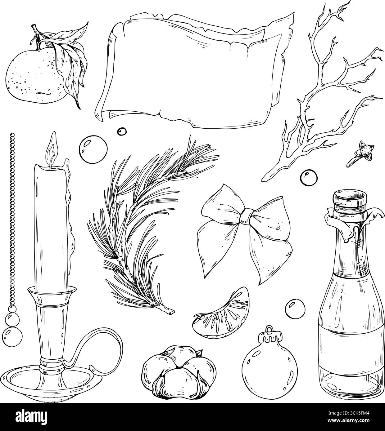 Hand drawn line art illustration of scroll, fir branches, champagne ...