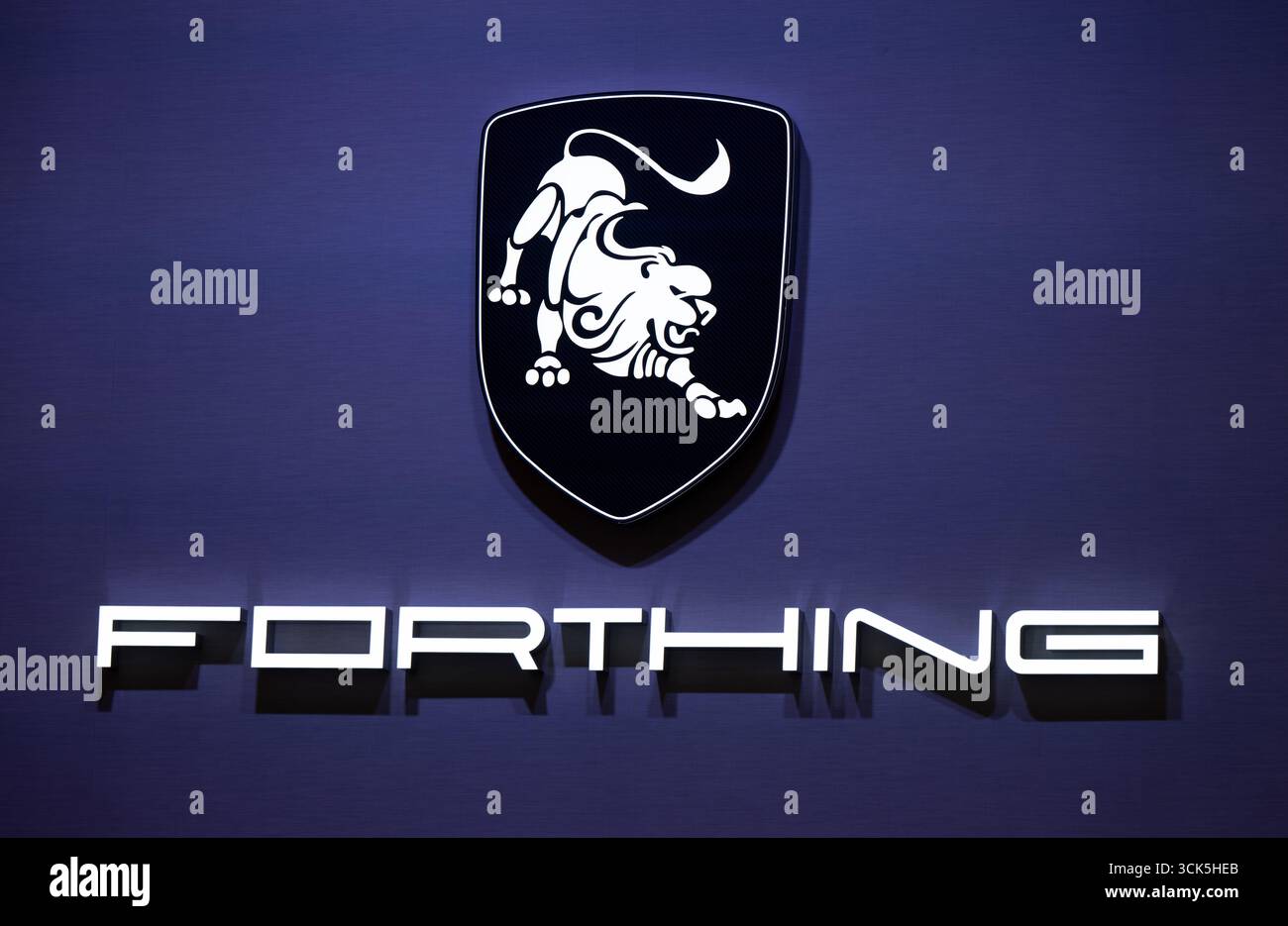 10 September 2025, Bavaria, Munich: The logo of the Chinese car ...