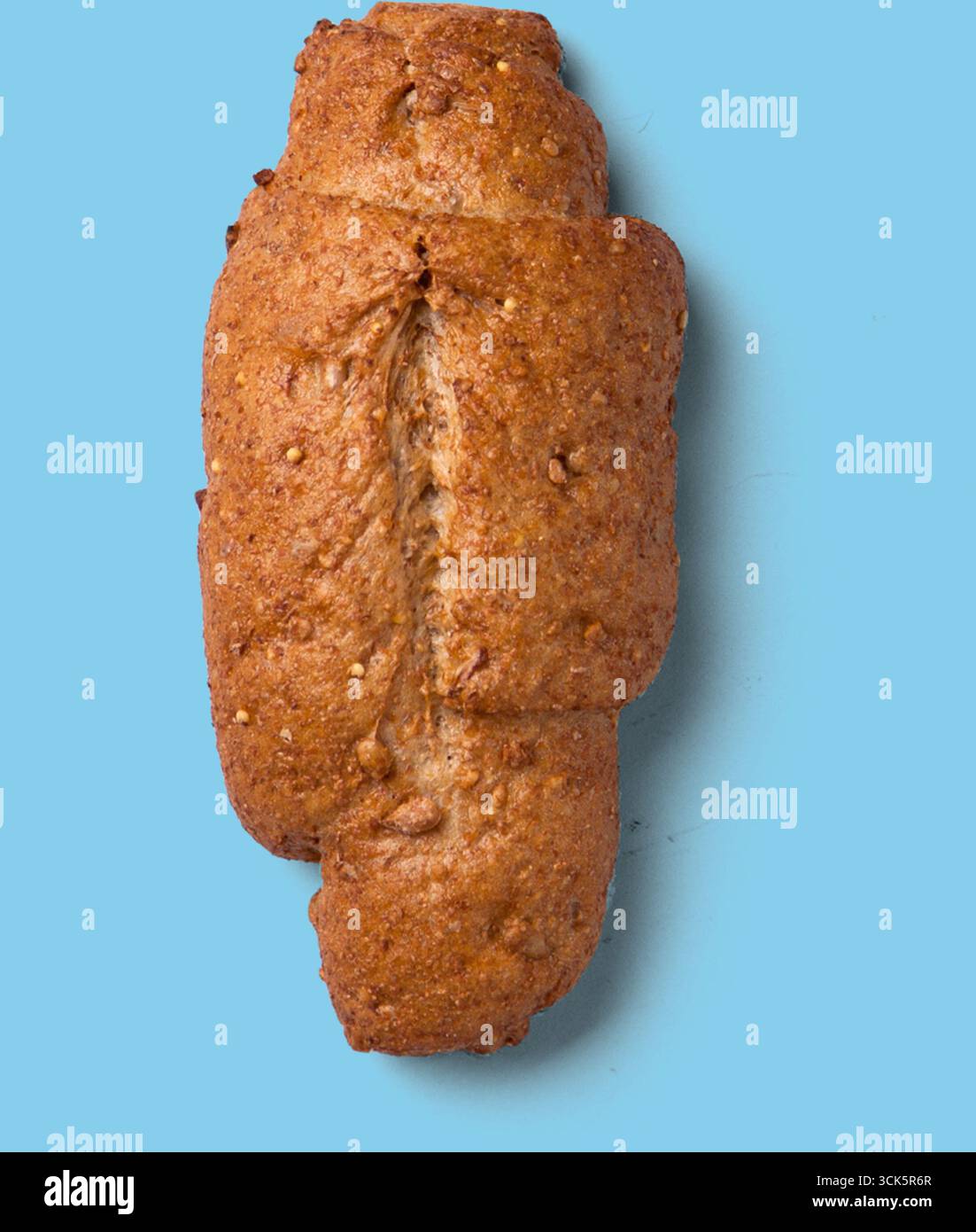 A freshly baked whole grain bread loaf with a rustic texture and golden ...