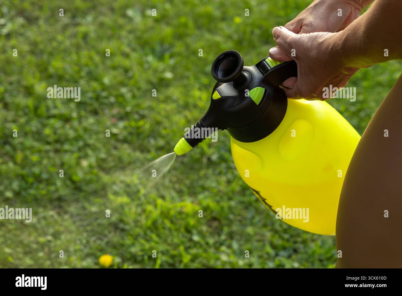 Spraying plant protection preparation in the garden, woman spraying ...
