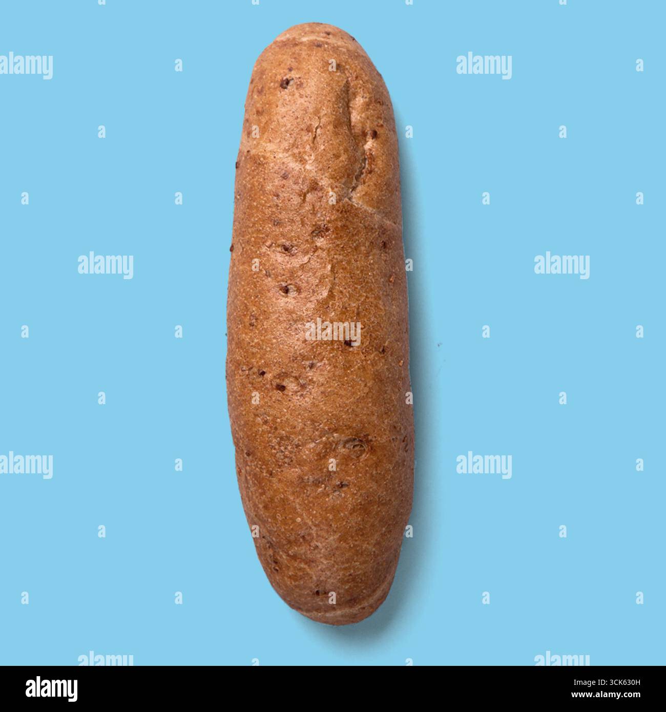 A long, oval-shaped loaf of whole grain bread with a rustic appearance ...