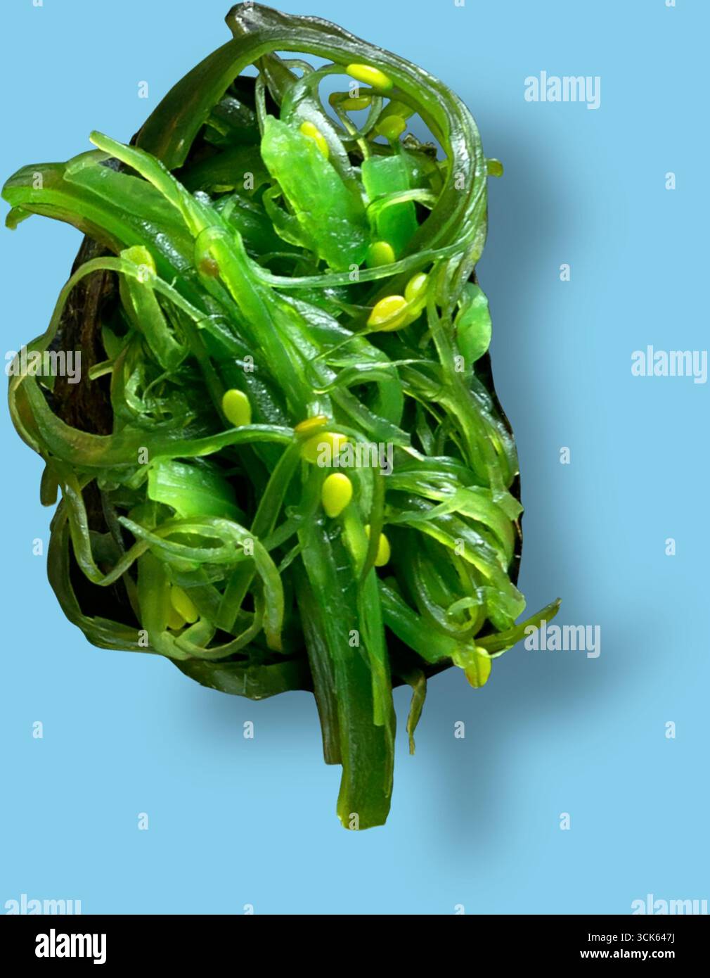 A vibrant serving of seaweed salad, showcasing fresh green strands and ...
