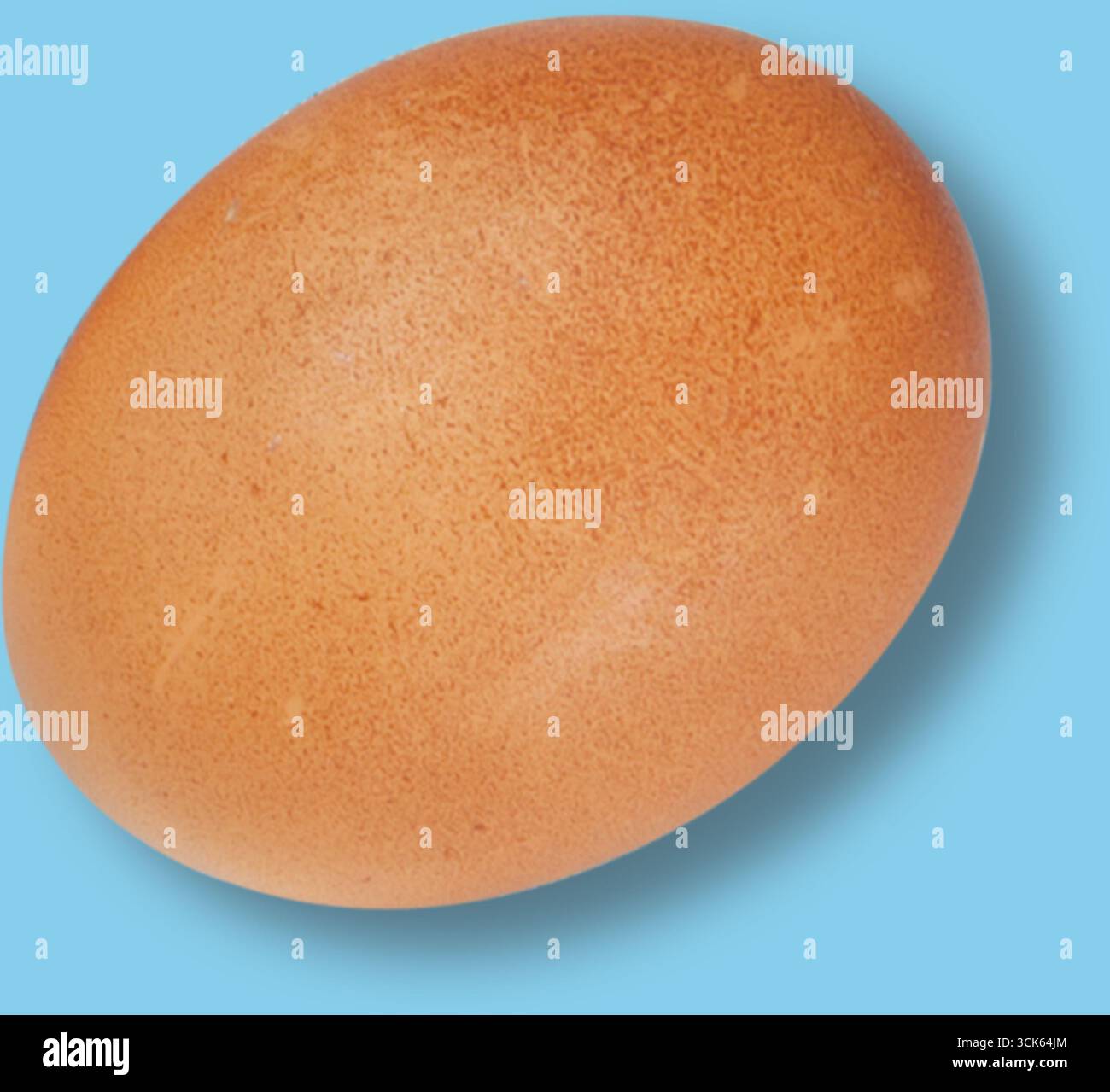 Smooth oval shaped egg hi-res stock photography and images - Alamy