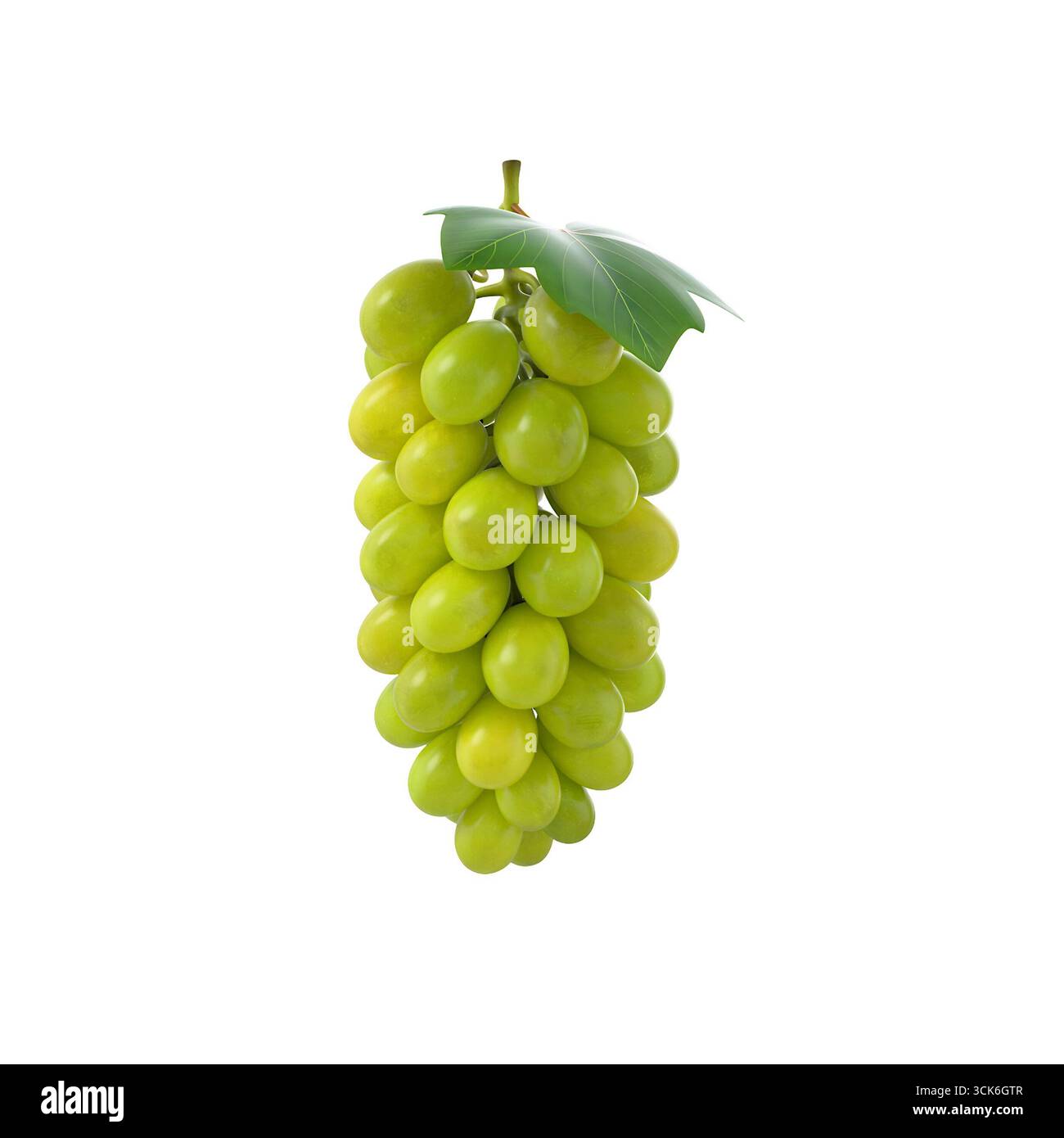 A cluster of green grapes with a single leaf, showcasing fresh and ...