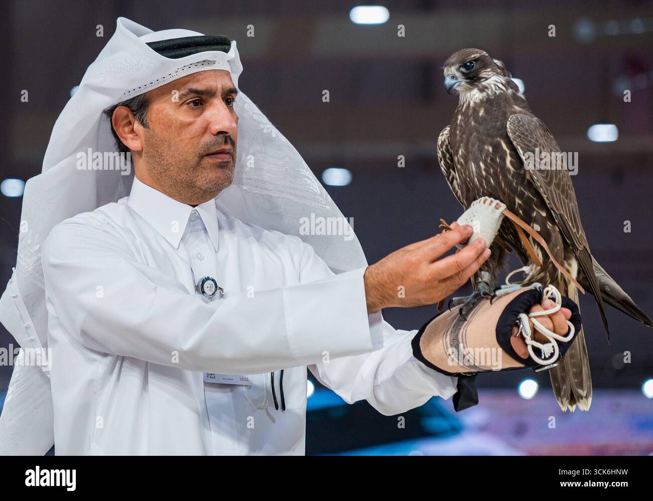 KATARA INTERNATIONAL HUNTING AND FALCONS EXHIBITION 2025 An Qatari ...