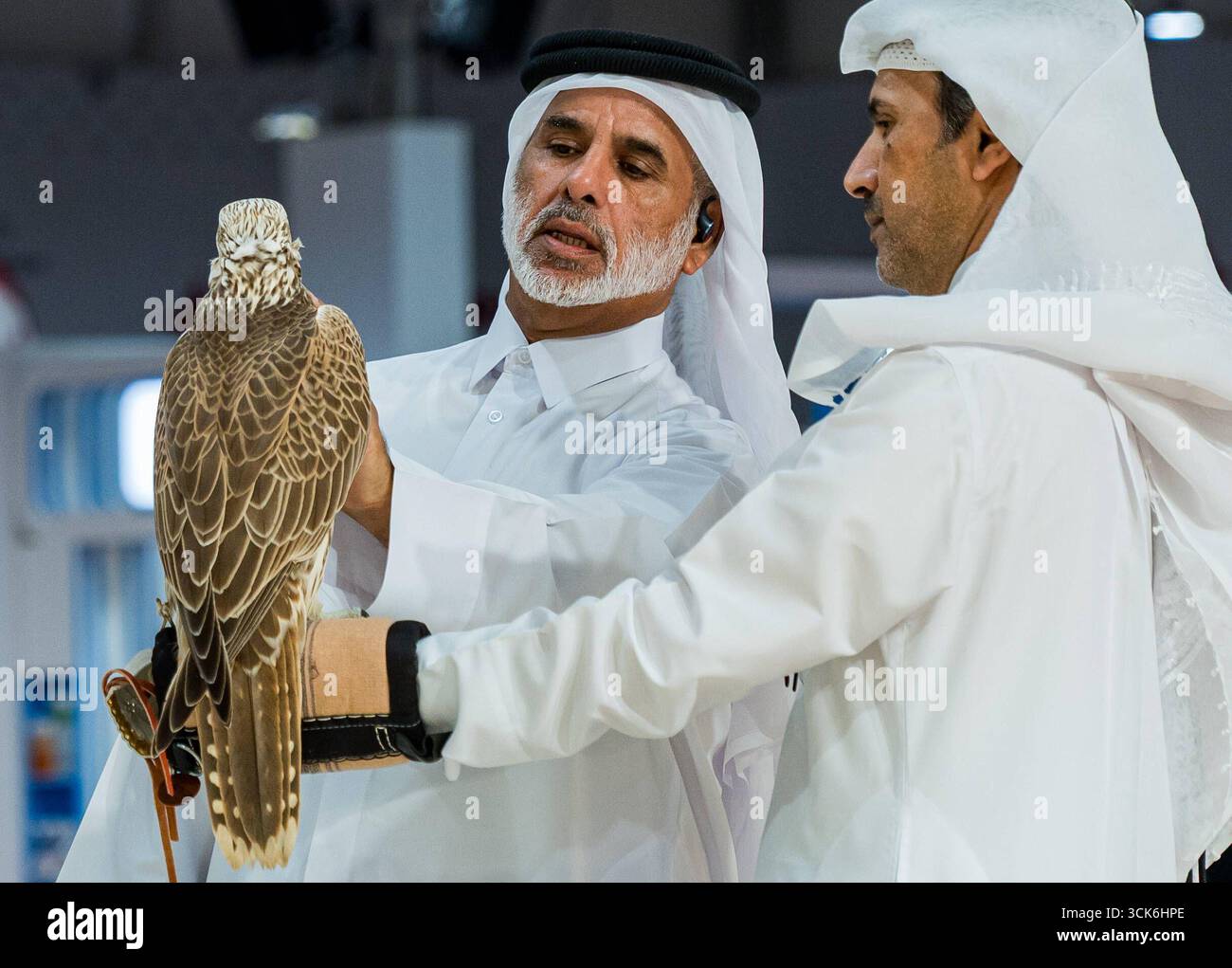 KATARA INTERNATIONAL HUNTING AND FALCONS EXHIBITION 2025 An Qatari ...