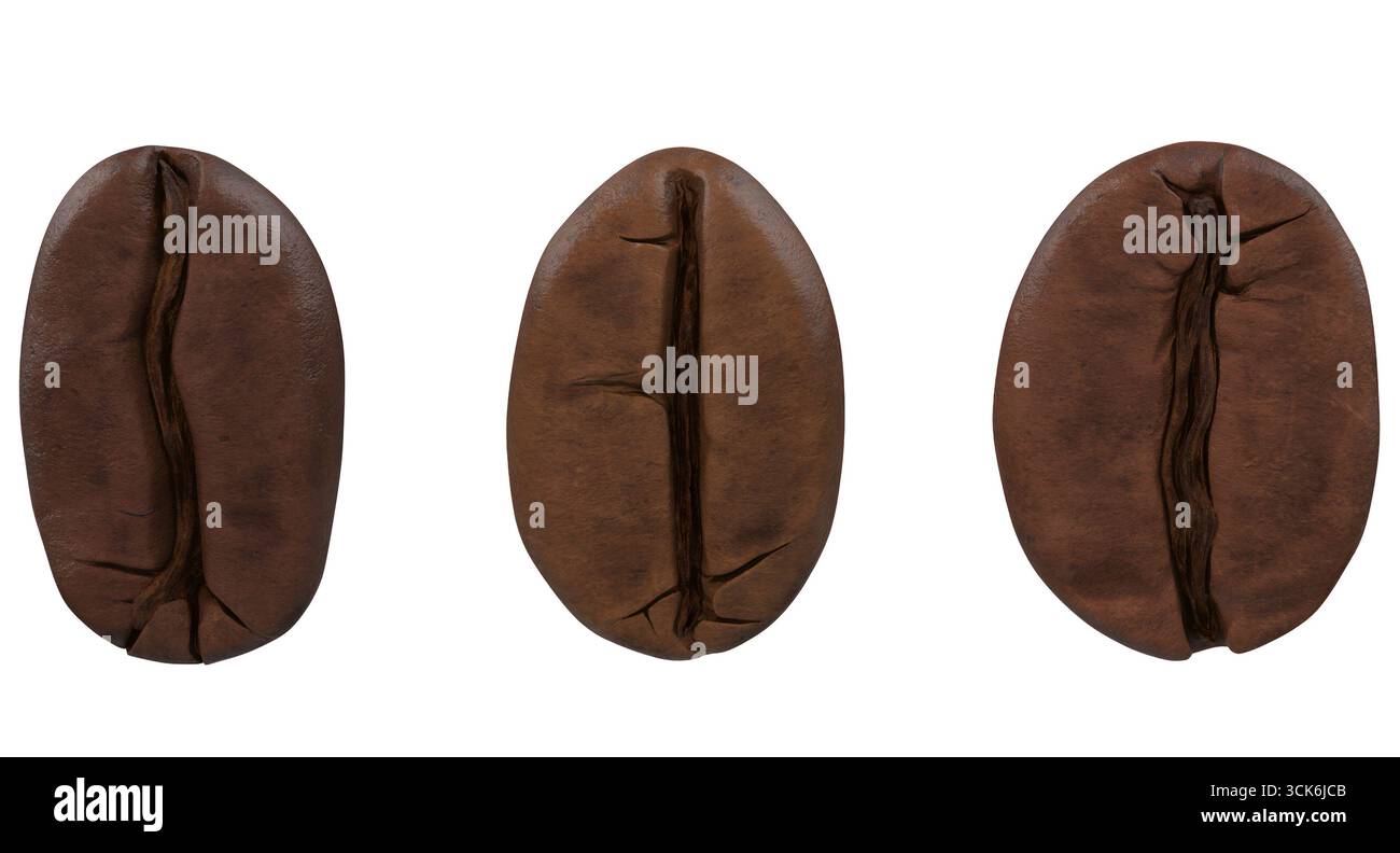 Blend of natural shapes Cut Out Stock Images & Pictures - Alamy