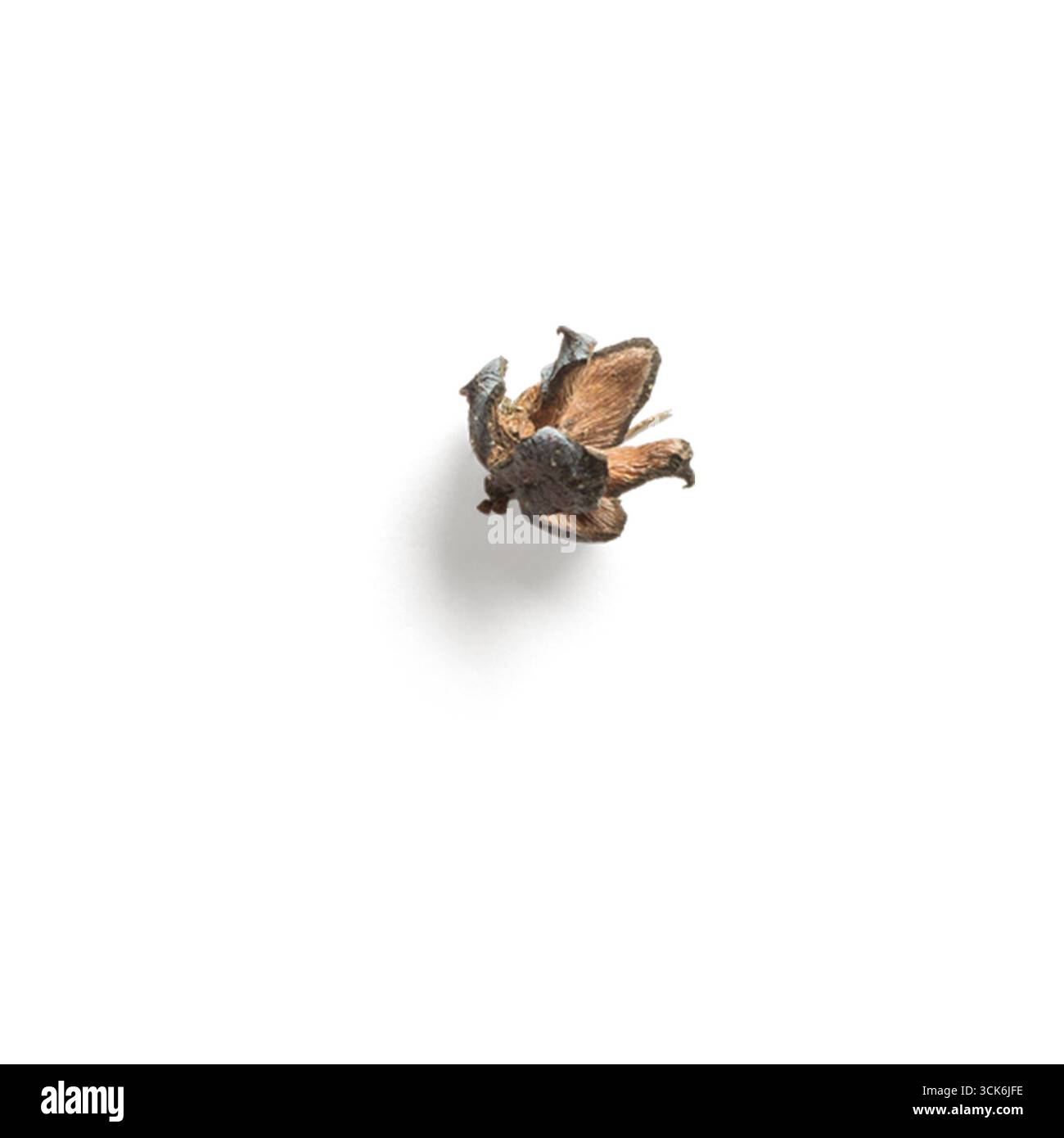 Top view showcasing Cut Out Stock Images & Pictures - Alamy