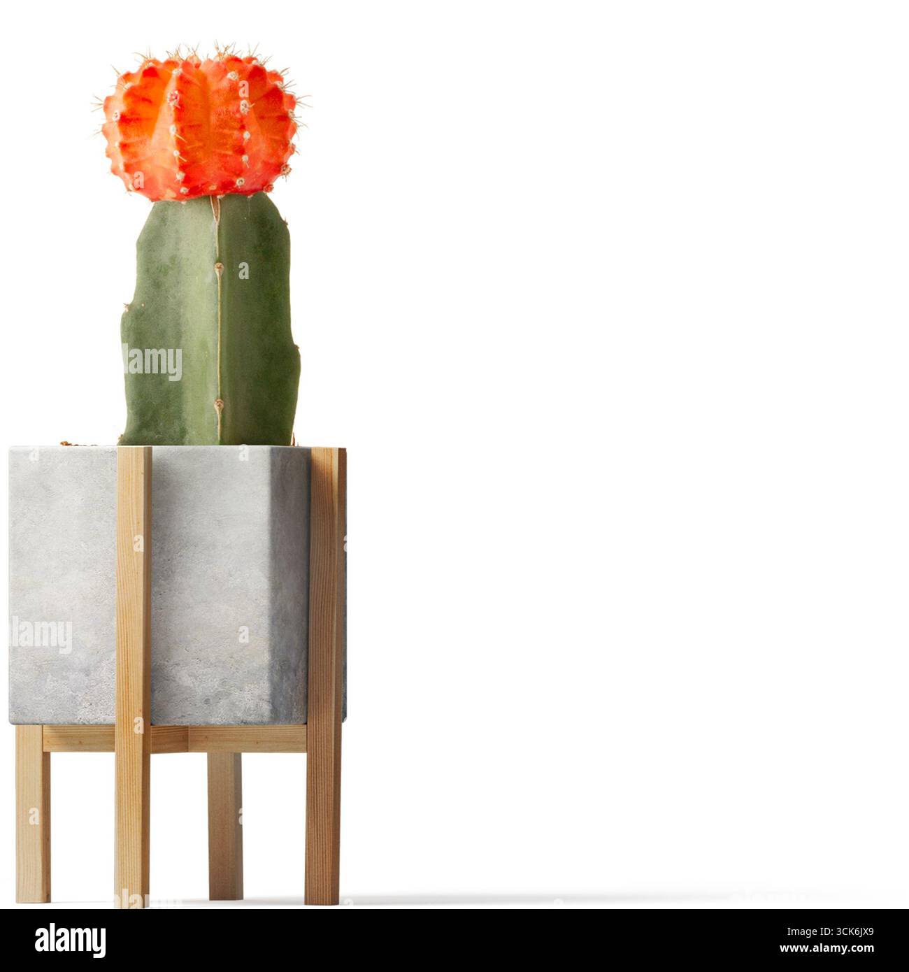 Blend of greenery Cut Out Stock Images & Pictures - Alamy