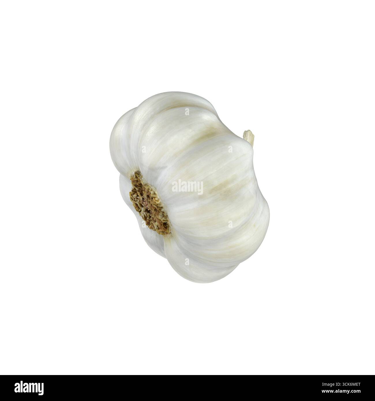 A close-up of a garlic bulb, showcasing its texture and natural color ...