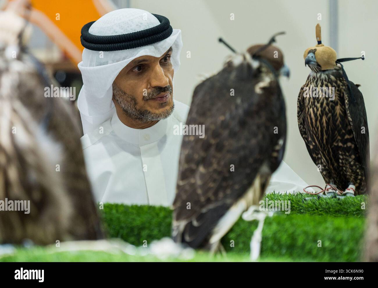 KATARA INTERNATIONAL HUNTING AND FALCONS EXHIBITION 2025 A Qatari man ...