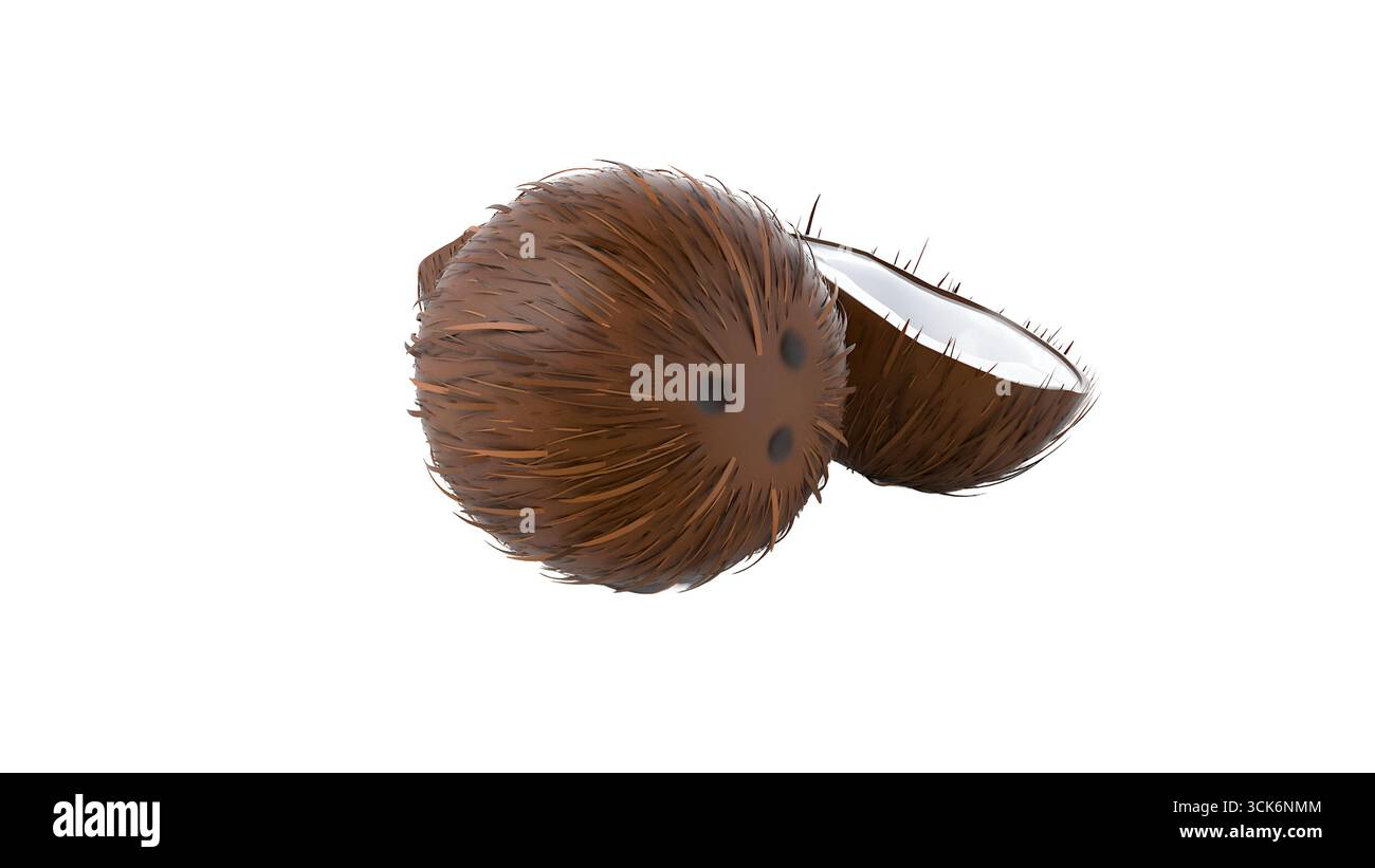 A brown coconut split in half, showcasing its hairy exterior and white ...