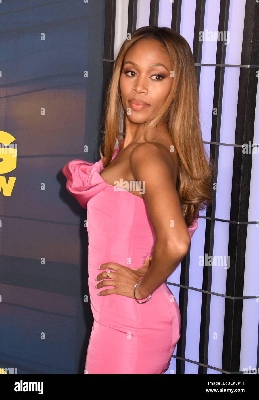 NEW YORK, NY - SEPTEMBER 9: Nicole Beharie at the season four red ...