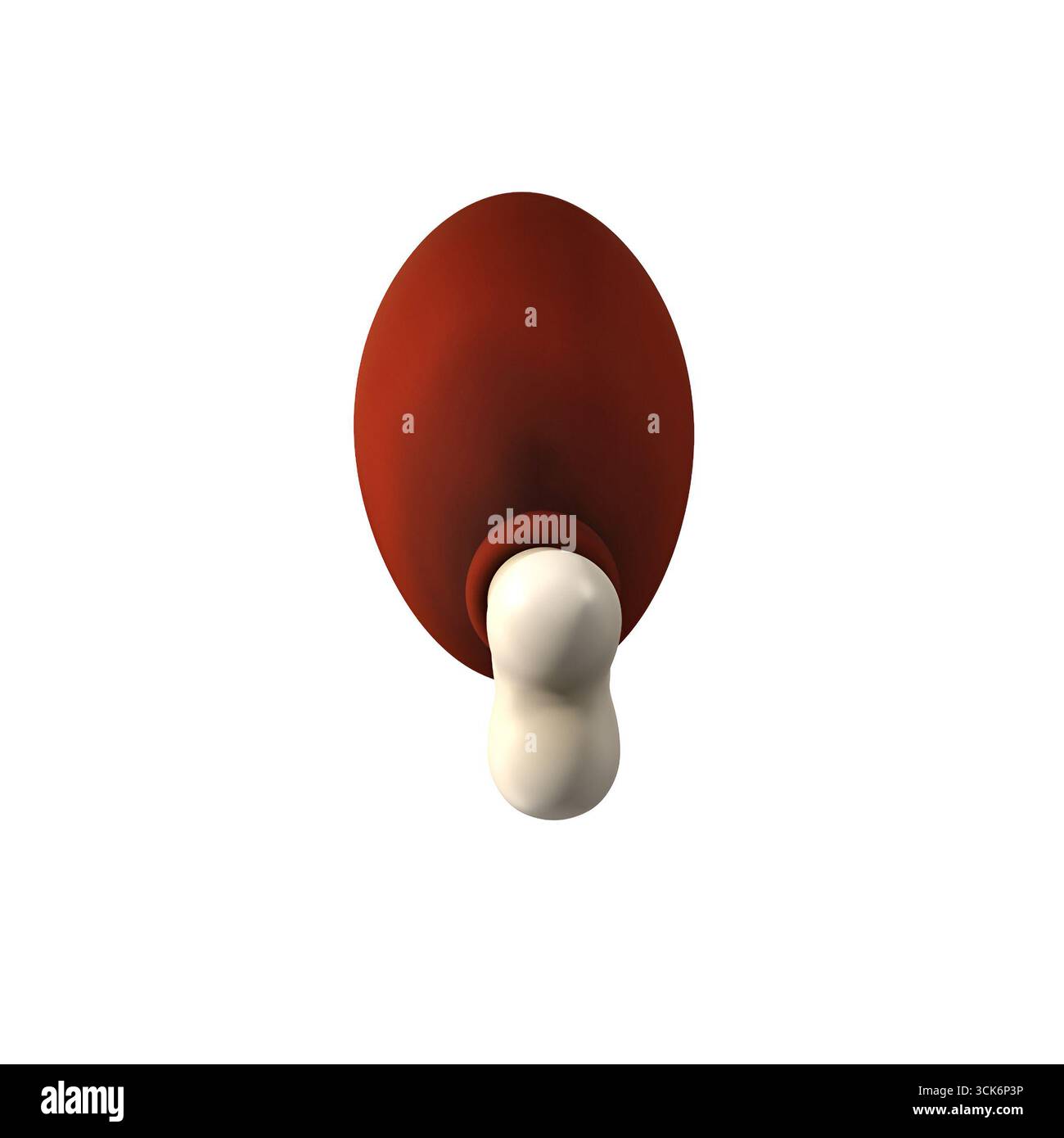 A simple, stylized representation of a red and white object resembling ...
