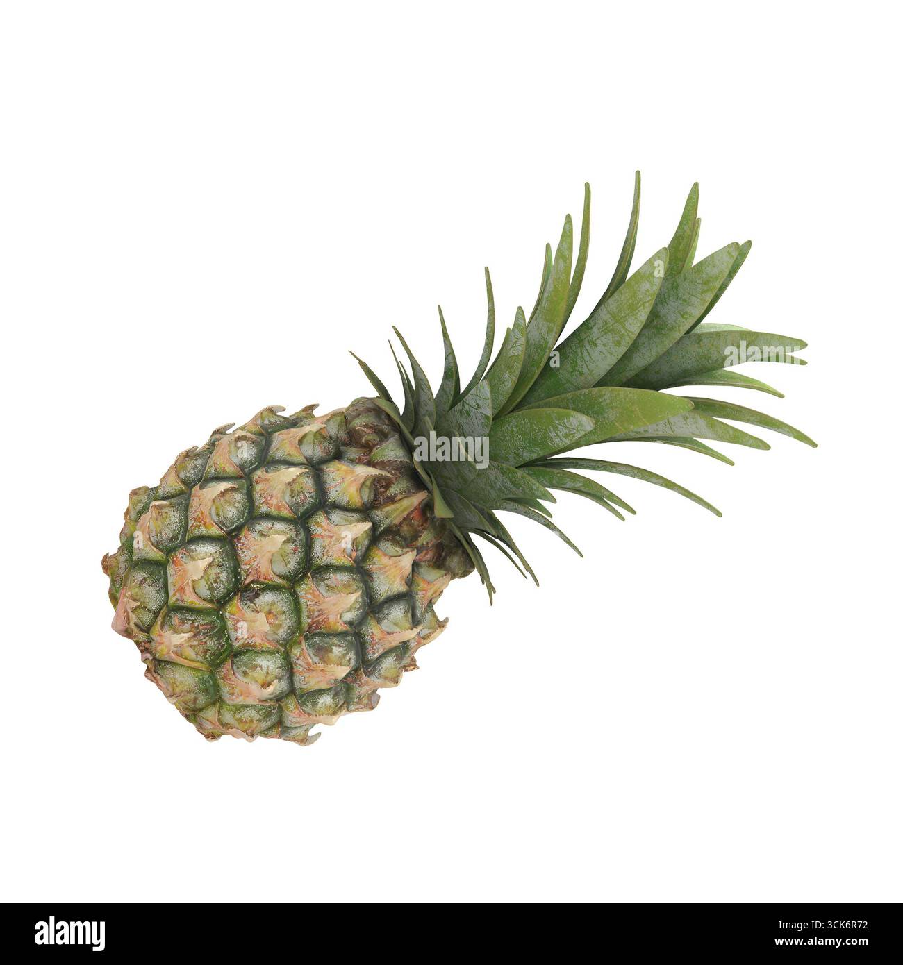 Vibrant depiction of plant leaves Cut Out Stock Images & Pictures - Alamy