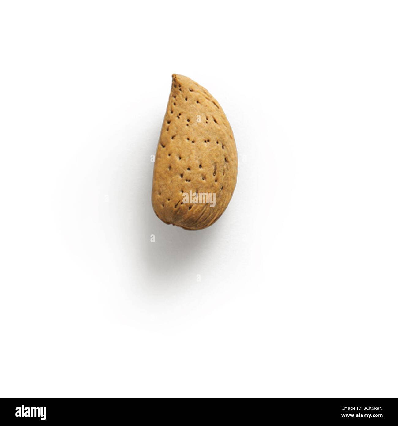 A single almond nut with a textured shell, showcasing its natural form ...