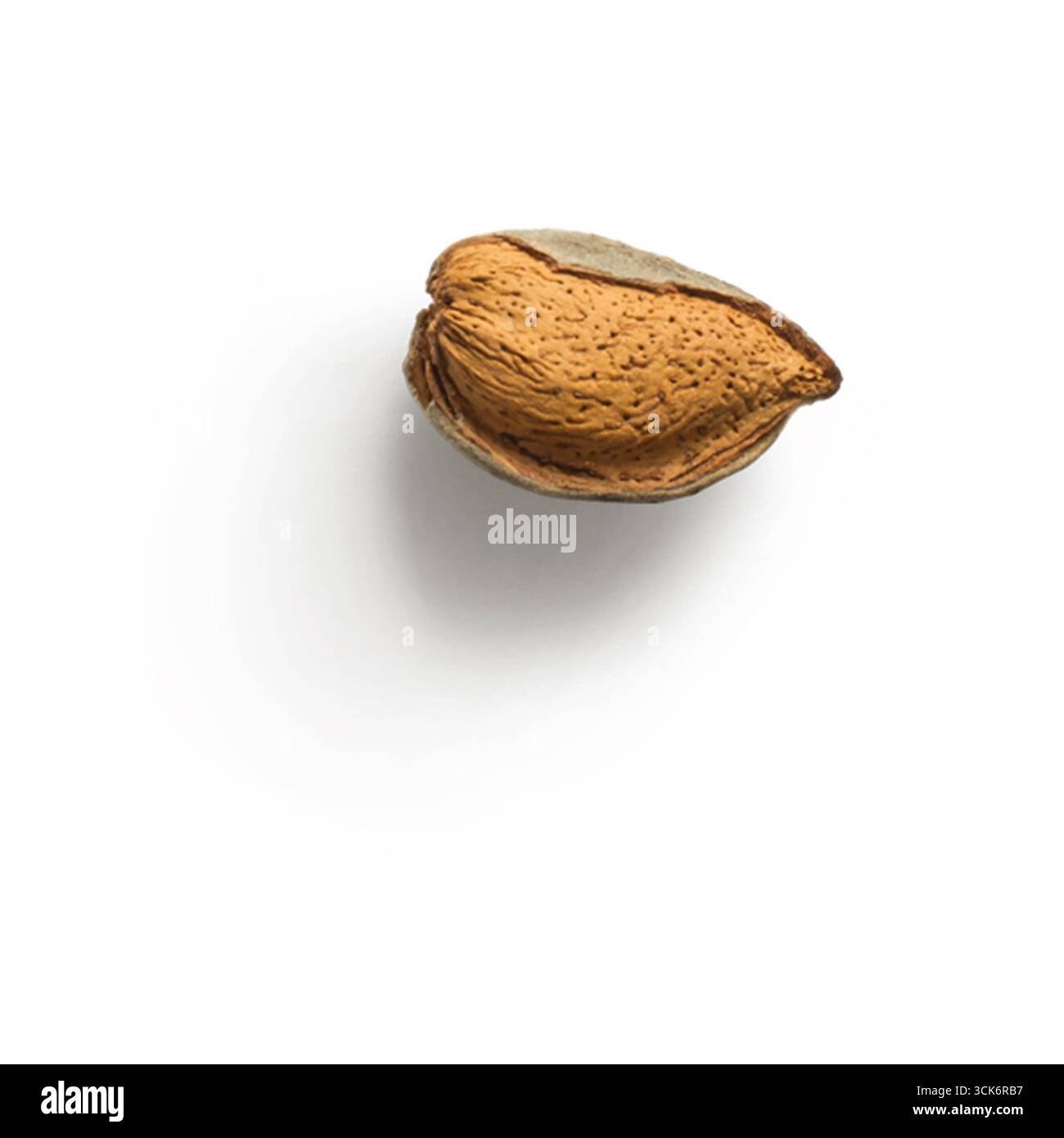 An almond nut with its shell partially visible, showcasing its texture ...