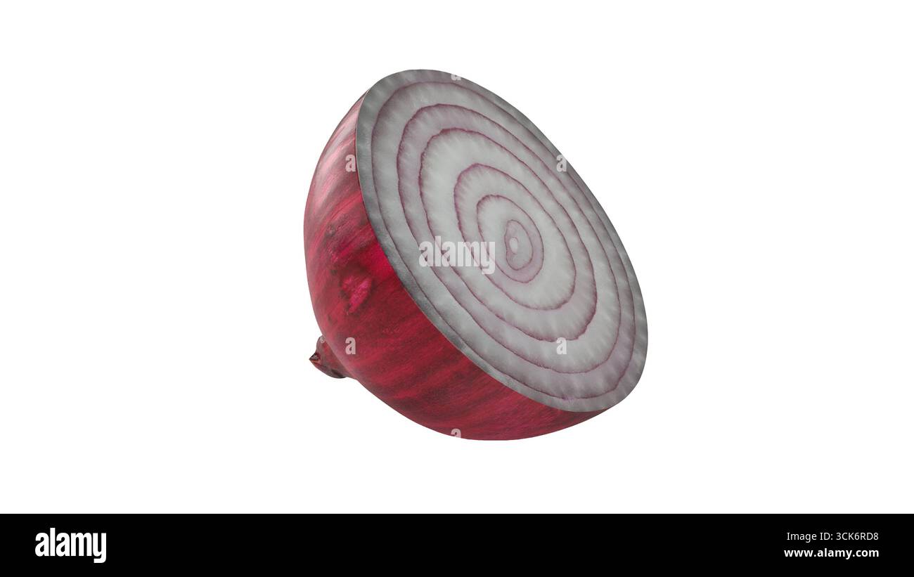 A cross-section of a red onion, showcasing its layered structure and ...