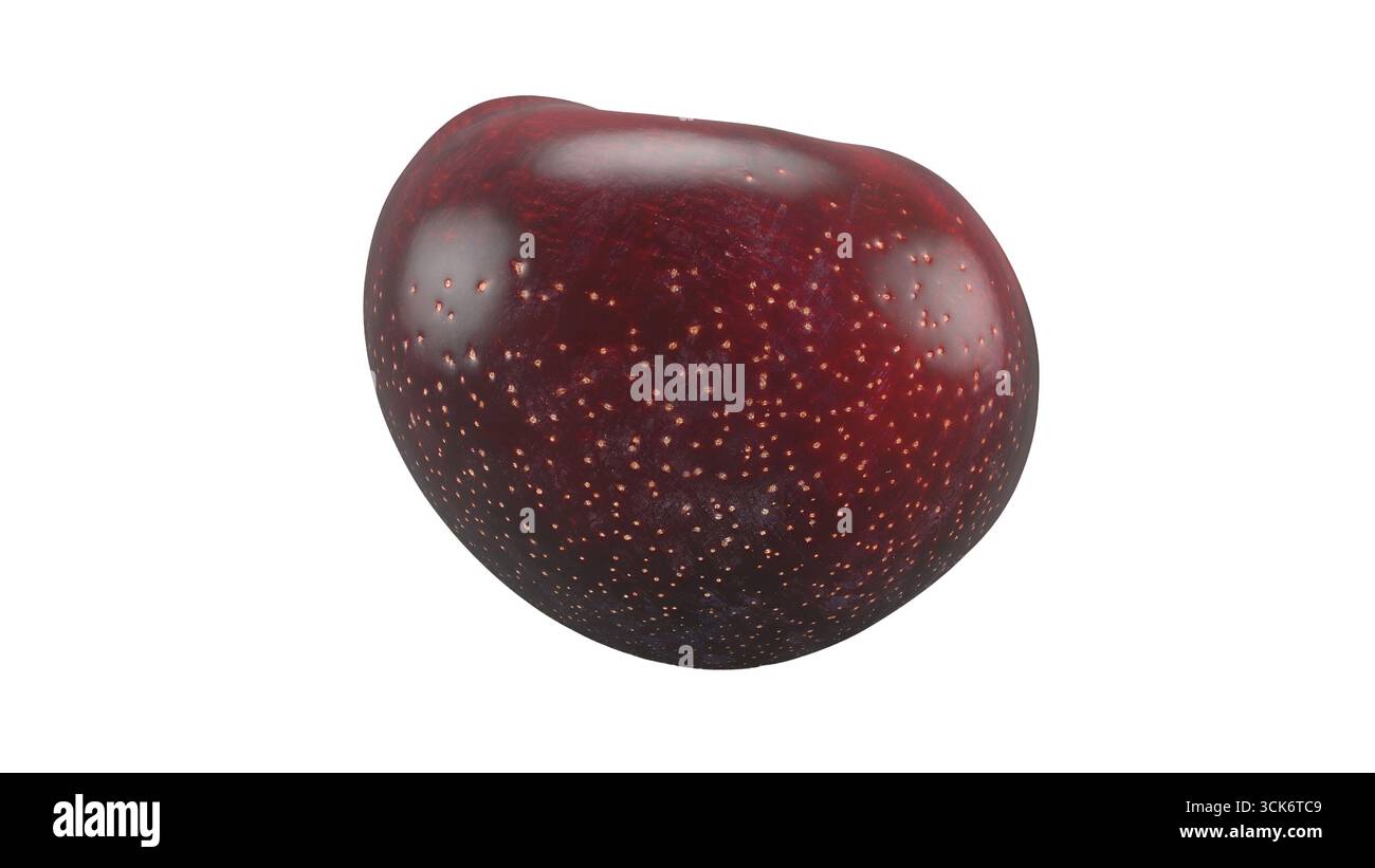 A close-up view of a shiny, dark red fruit with a smooth surface and ...