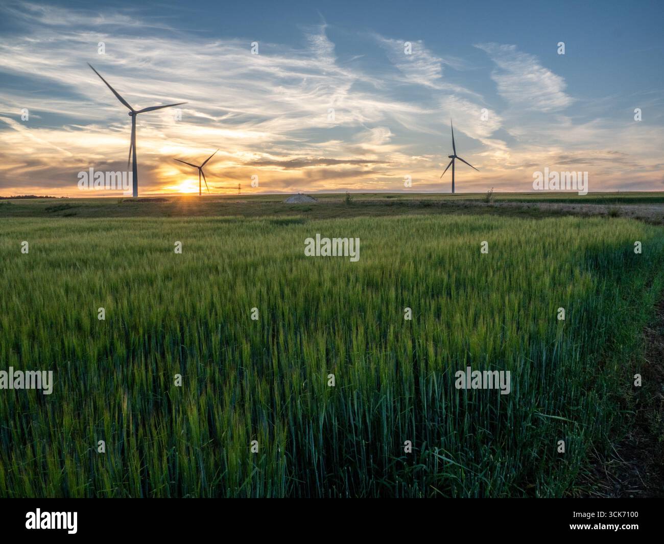 Renewable energy wind turbines standing on farmland during sunset with ...