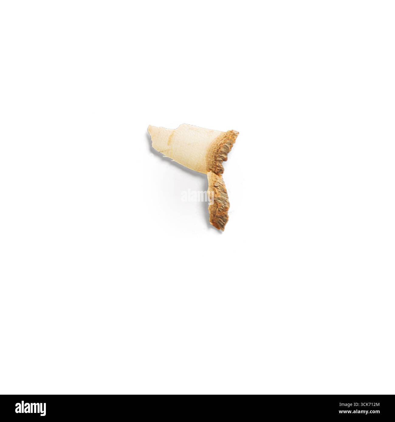 Artifact symbolism study hi-res stock photography and images - Alamy
