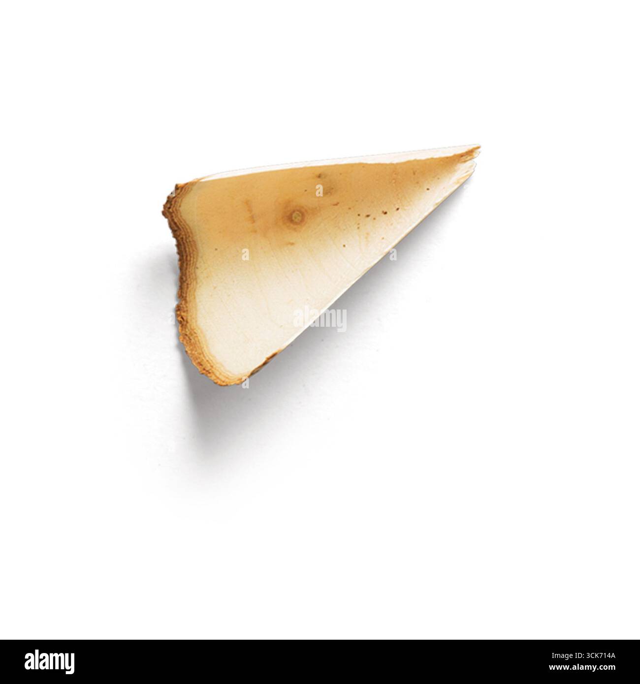 A triangular piece of wood with a smooth surface and natural coloration ...