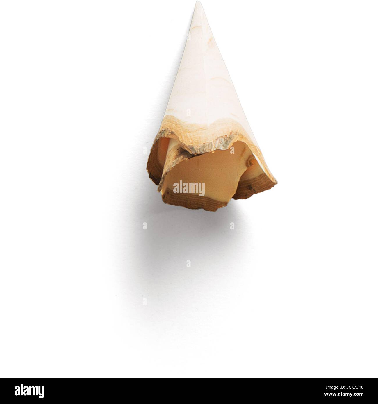 Abstract organic texture sand Cut Out Stock Images & Pictures - Alamy