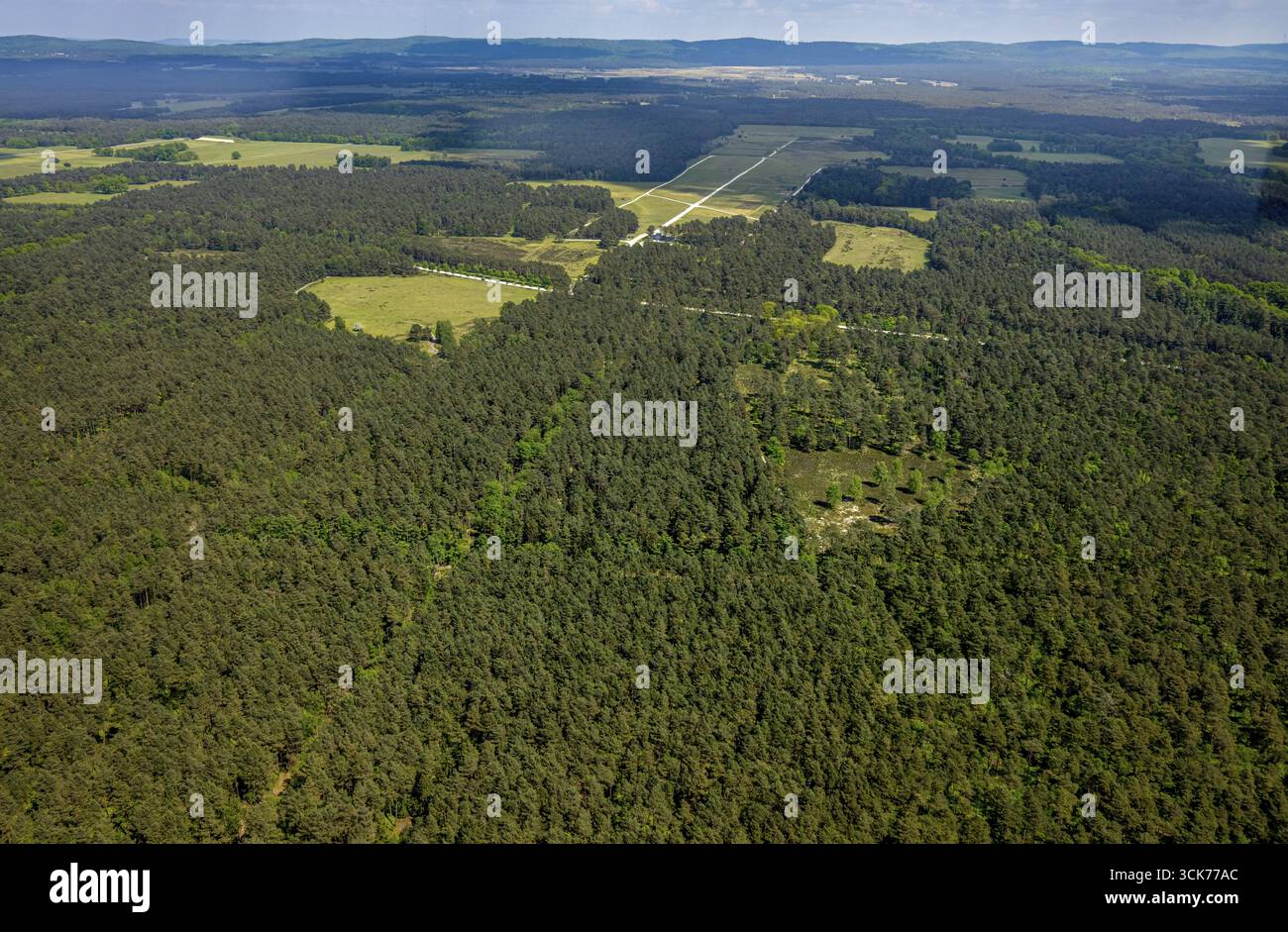 Aerial view, NSG nature reserve Moosheide in der Senne, heathland ...