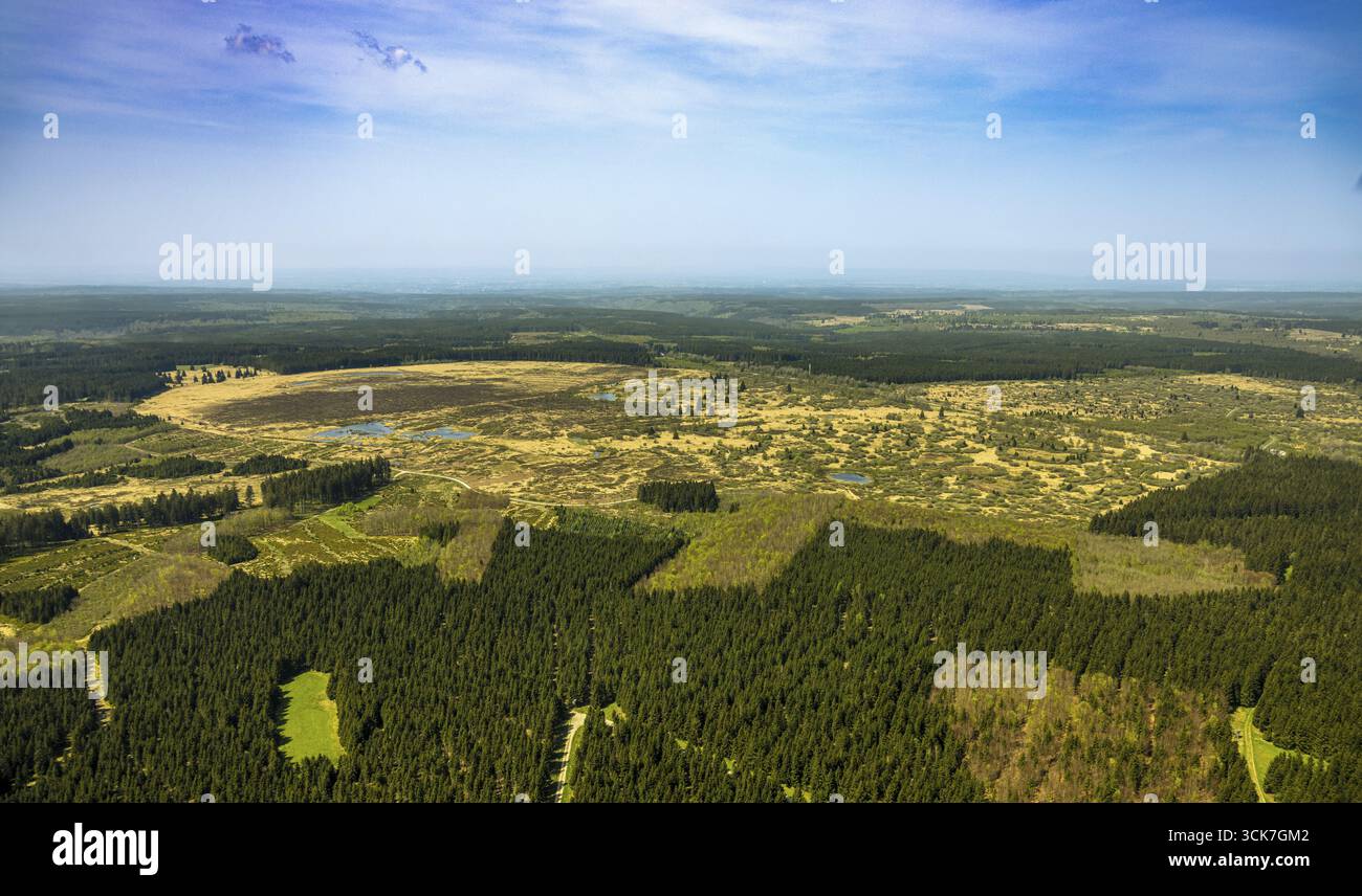 Aerial view, High Fens Eifel nature park Park, plateau near Muetzenich ...