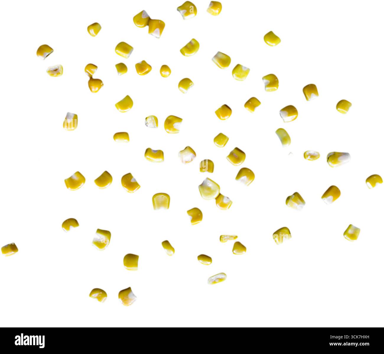 A scattered arrangement of yellow corn kernels on a white background ...