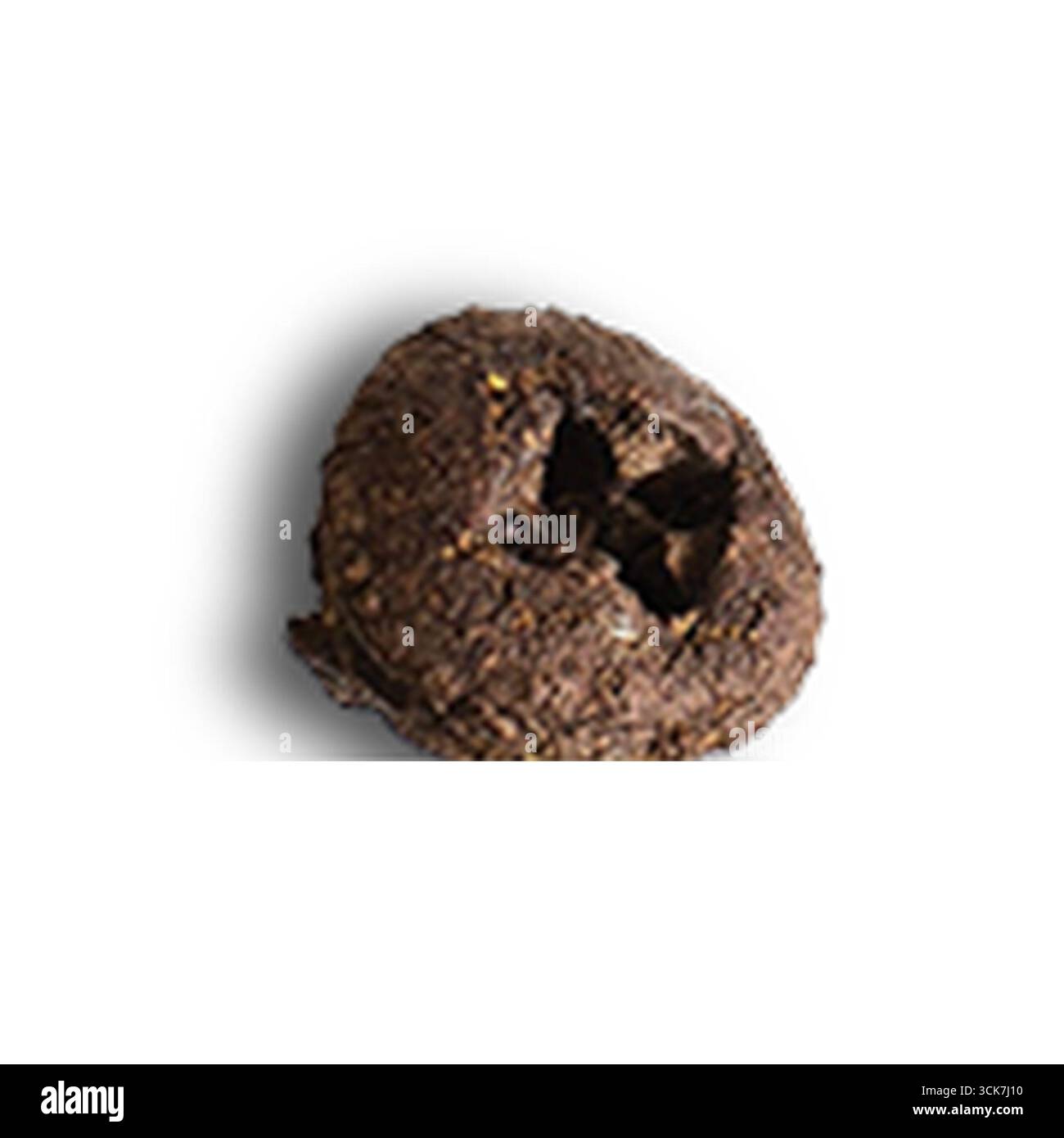 Animal droppings Cut Out Stock Images & Pictures - Alamy