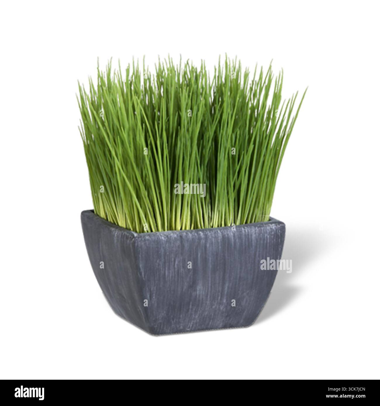 Contemporary office setting Cut Out Stock Images & Pictures - Alamy