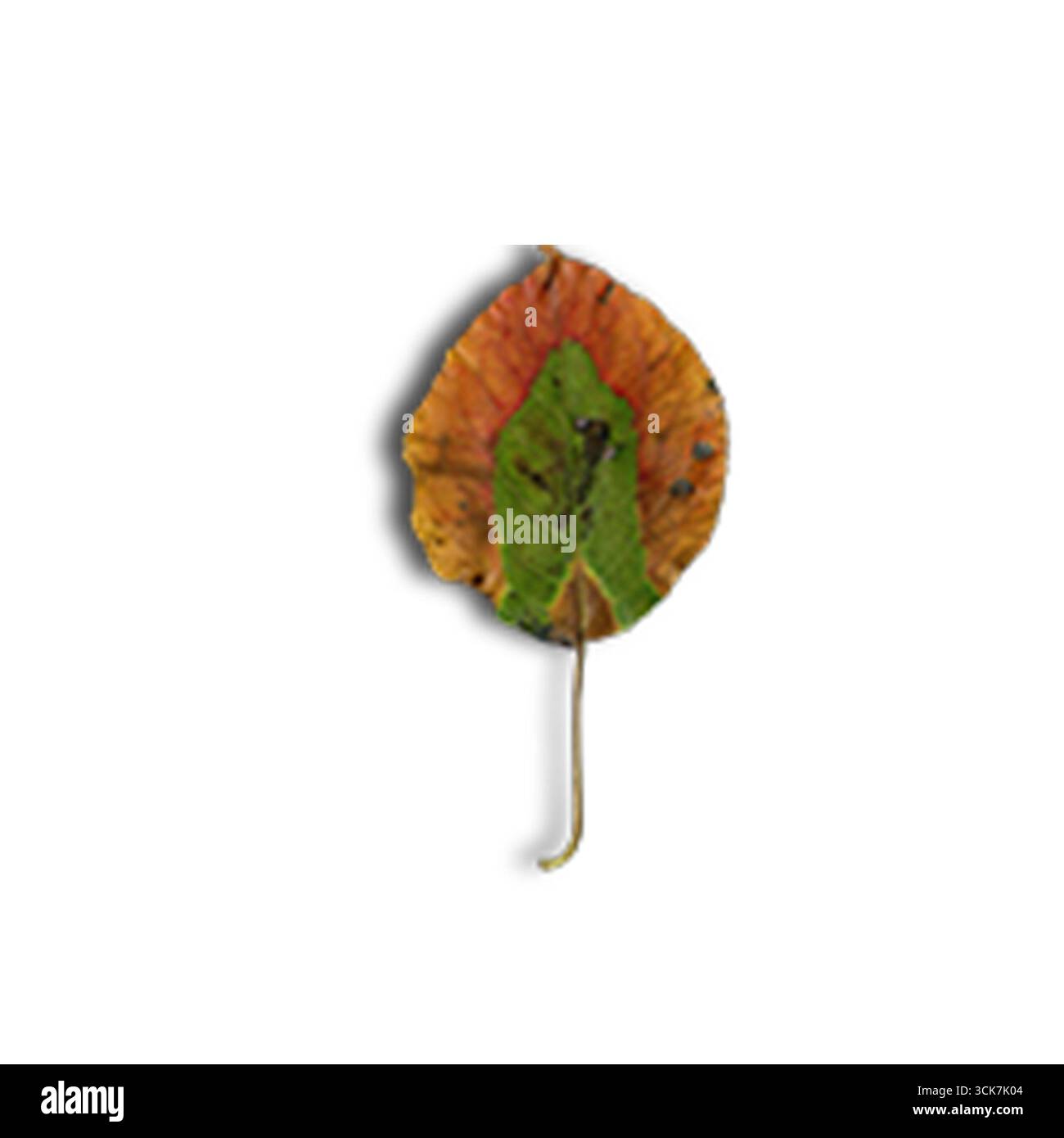 Seasonal transition Cut Out Stock Images & Pictures - Alamy
