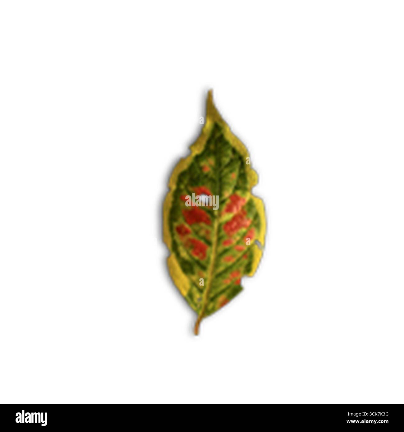 Featuring vibrant colors of red Cut Out Stock Images & Pictures - Alamy