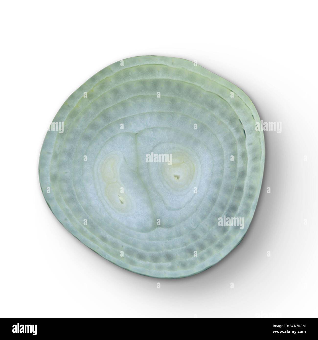 Subtle colors of Cut Out Stock Images & Pictures - Alamy