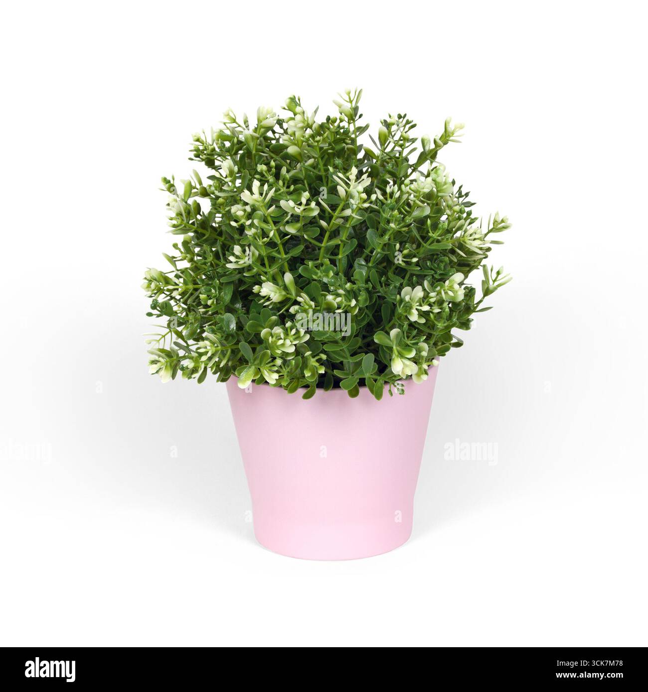 Soft touch texture Cut Out Stock Images & Pictures - Alamy