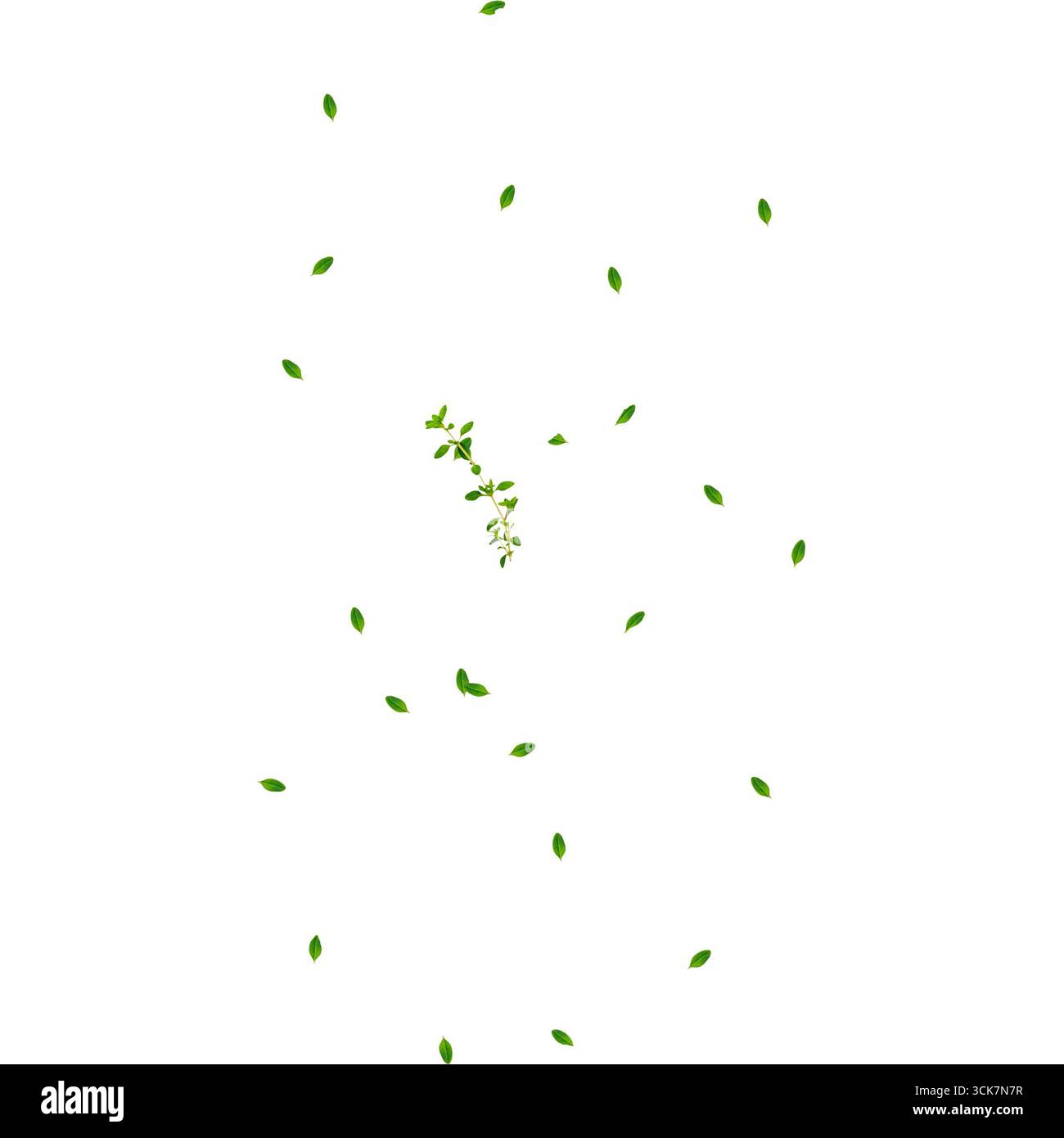 Summer animation Cut Out Stock Images & Pictures - Alamy