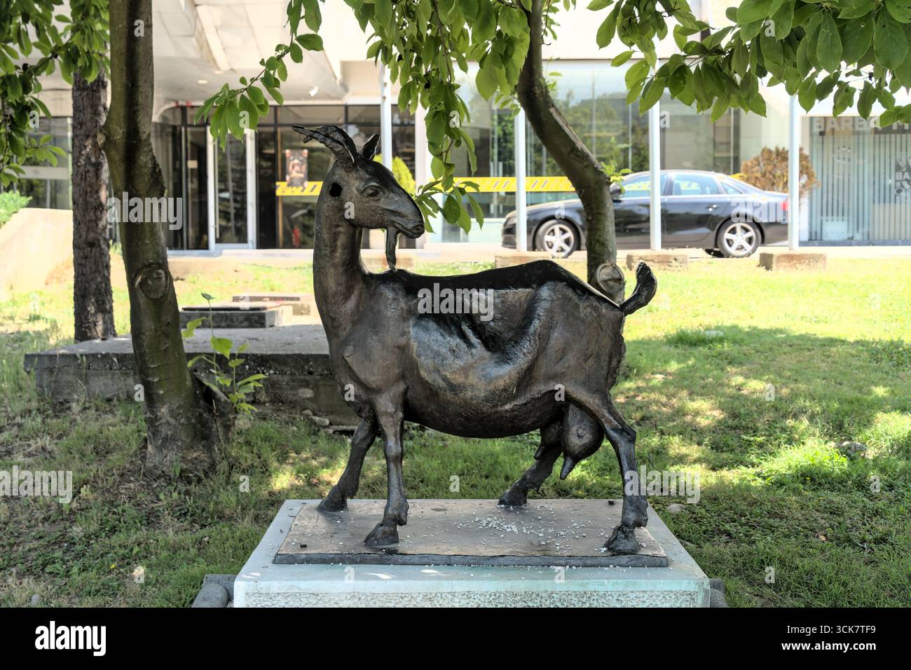 Bosnia and Herzegovina, Tuzla, Tuzla centar: Goat of Tuzla ("Tuzlanska ...