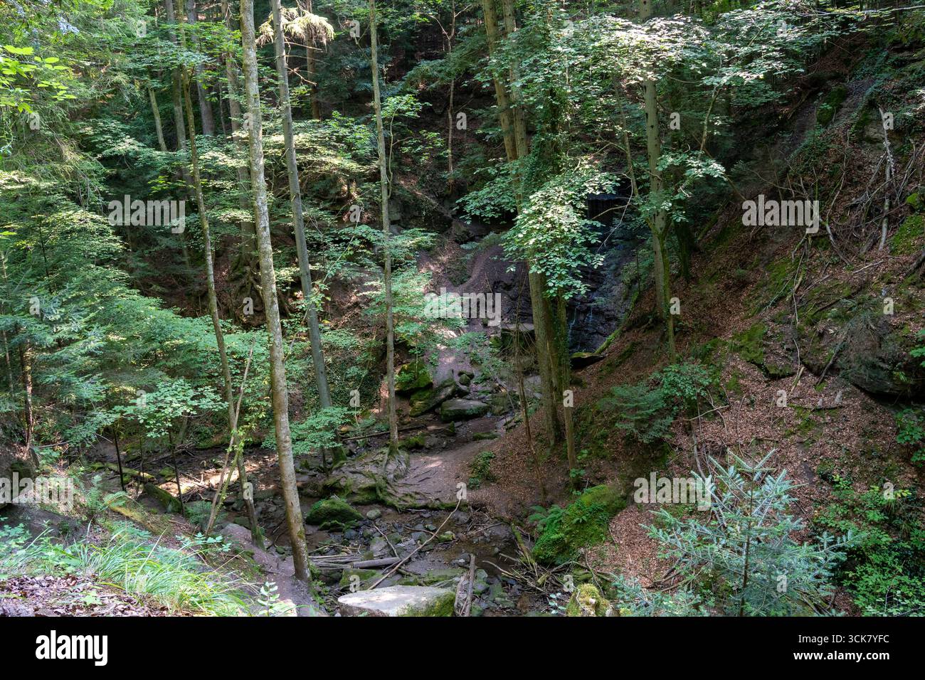 Small waterfall in dense forest within a steep narrow valley Stock ...