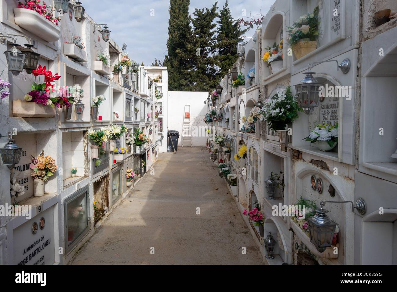 Cemetery niches with flowers in evora. Fonte das Portas de Moura, evora ...