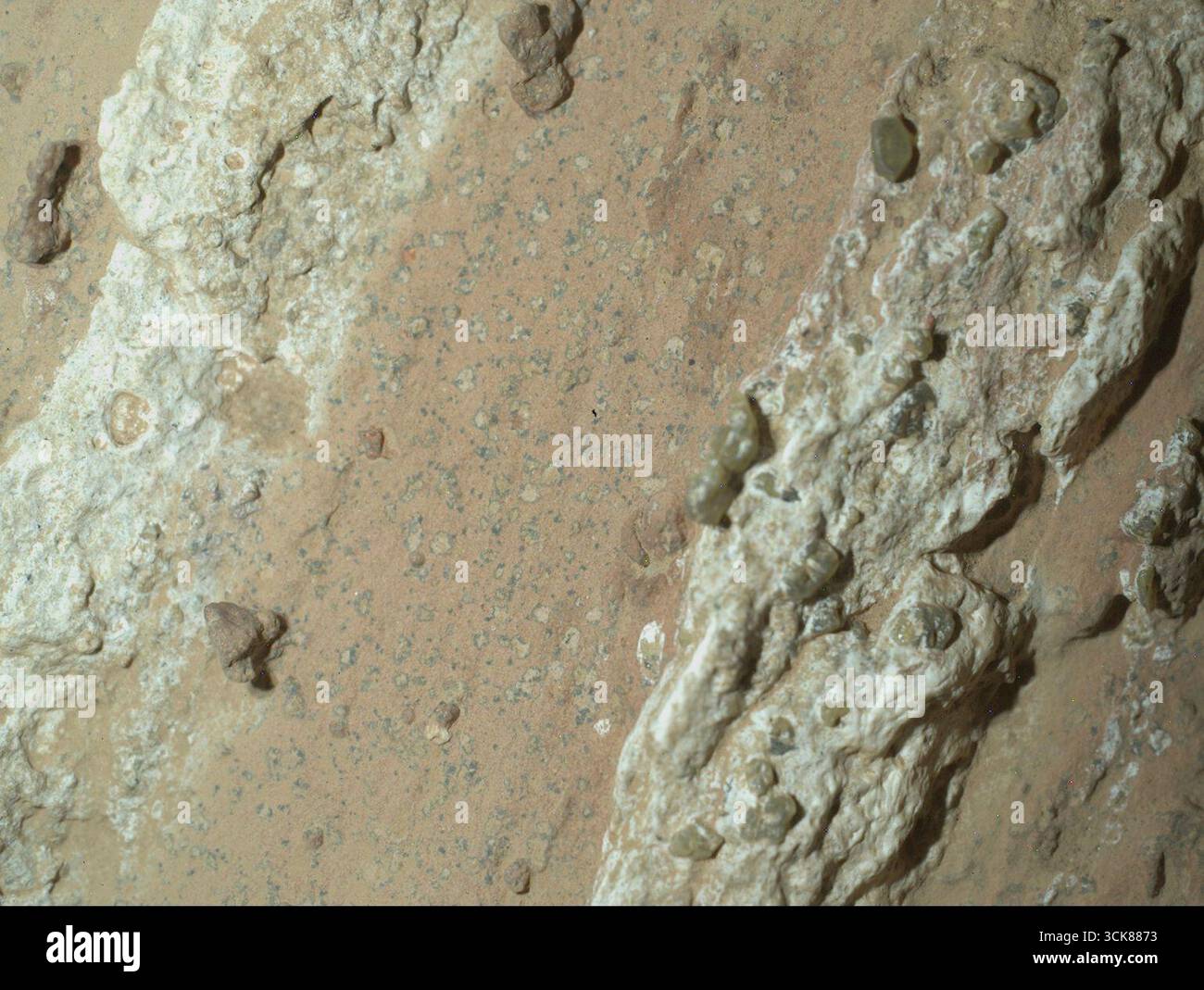 This image provided by NASA shows leopard spots on a reddish rock ...
