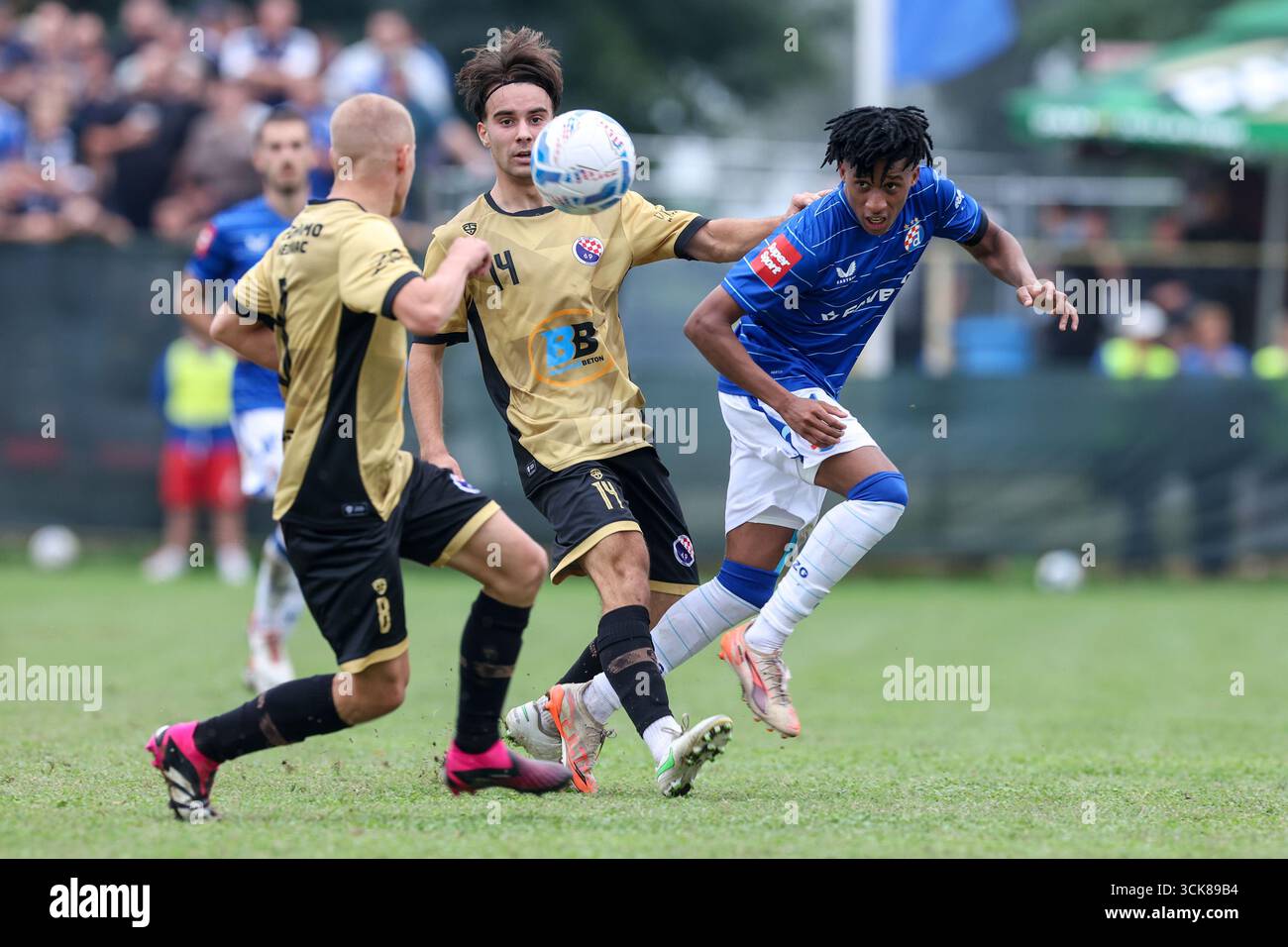 Karlo Antic of Dinamo Predavac and Cardoso Varela of Dinamo Zagreb ...