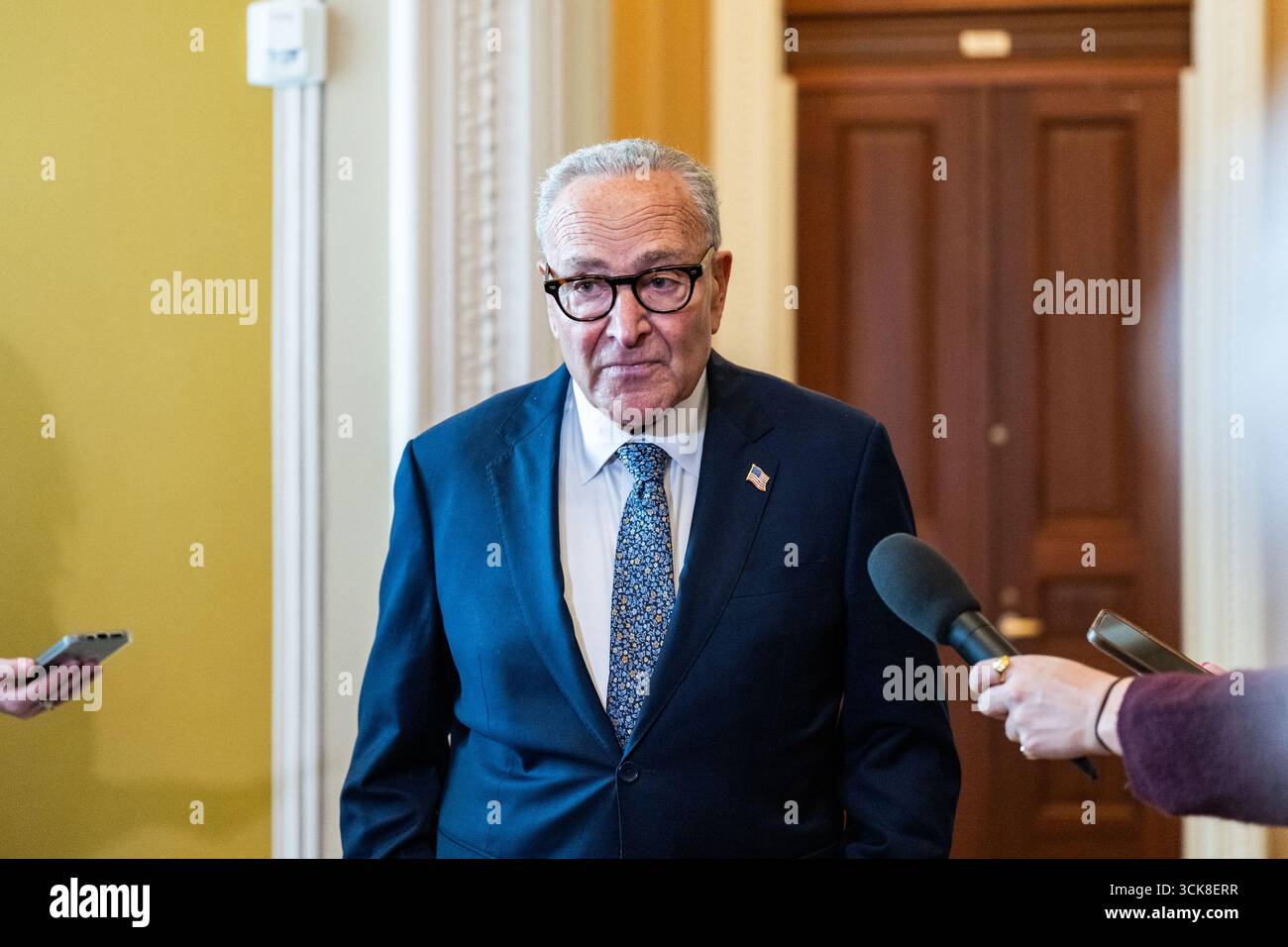 Senate Minority Leader Chuck Schumer D-NY speaks to press after filing ...