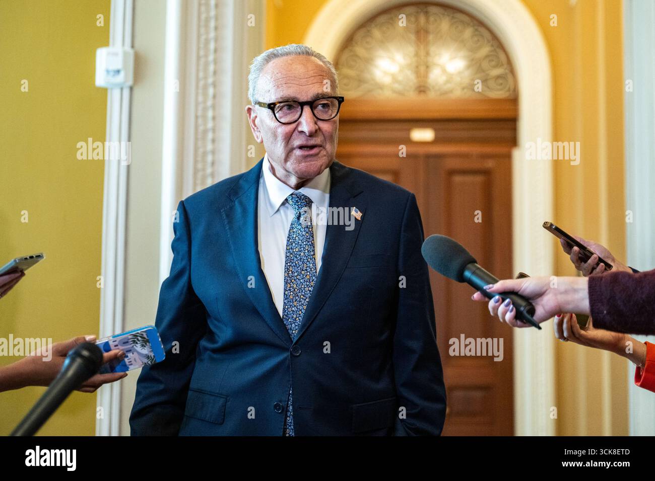 Senate Minority Leader Chuck Schumer D-NY speaks to press after filing ...