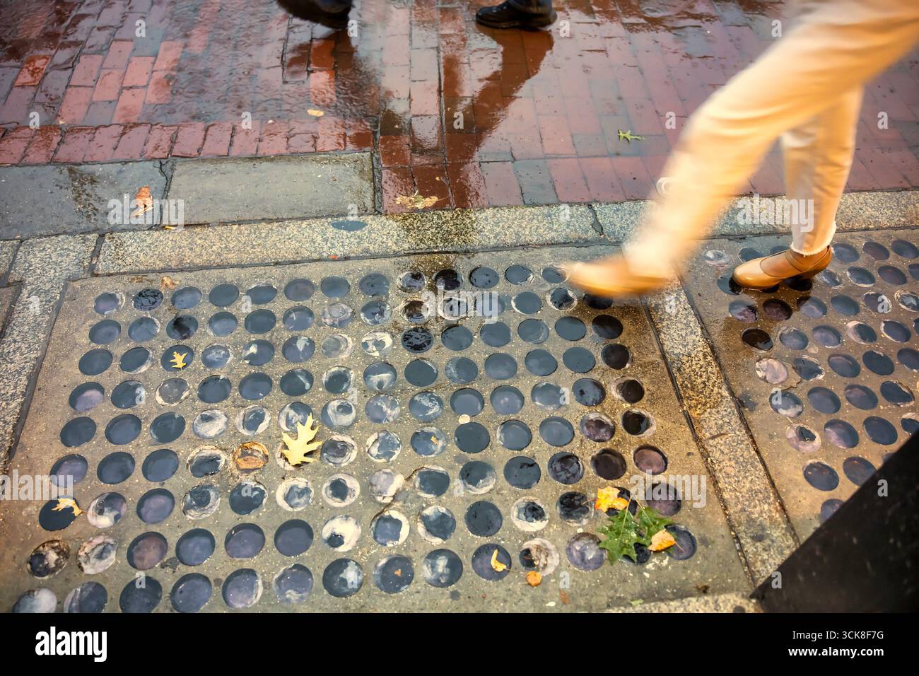 September 6, 2025 Cambridge, Massachusetts,, USA Rain on old brick ...