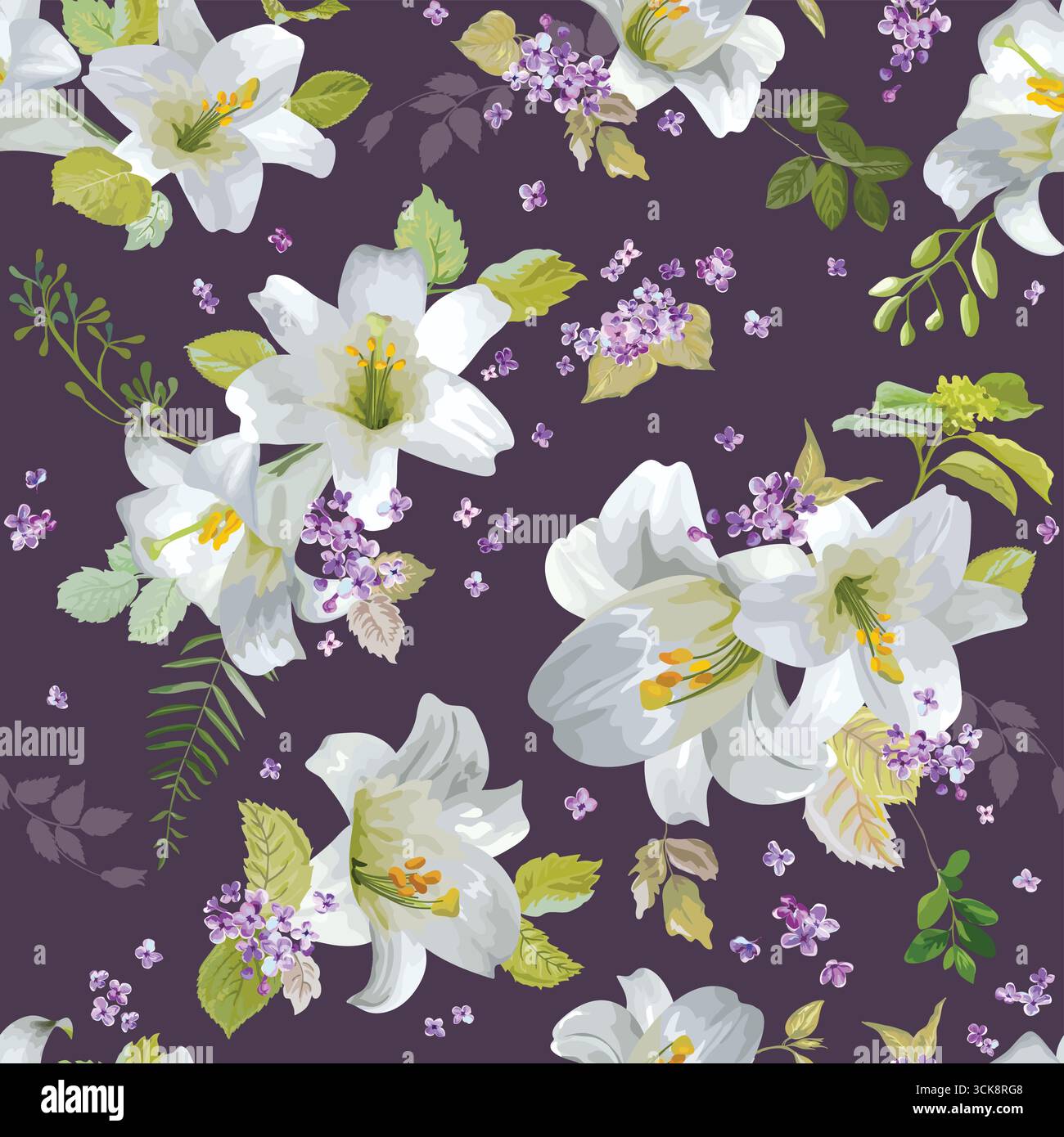 Lily blossom against white Stock Vector Images - Alamy